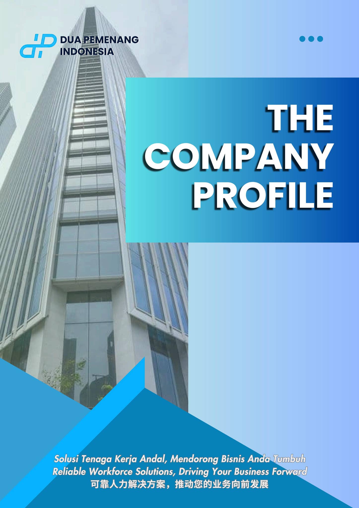 COMPANY PROFILE - PT DPI by PT DUA PEMENANG 2024 - Issuu
