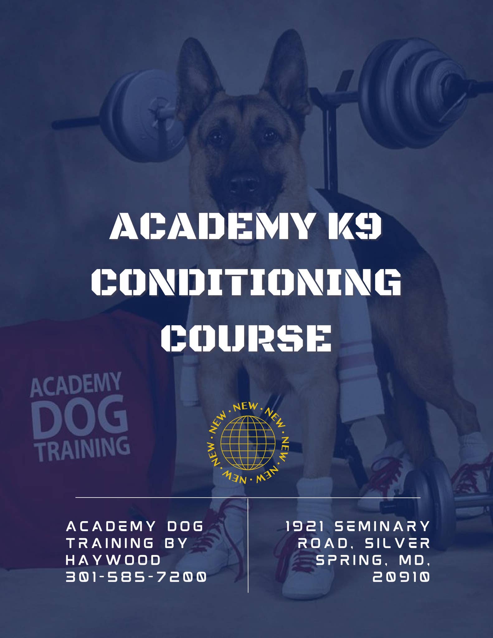 Academy's K9 Conditioning Course 2025 by Academy Dog Training By ...