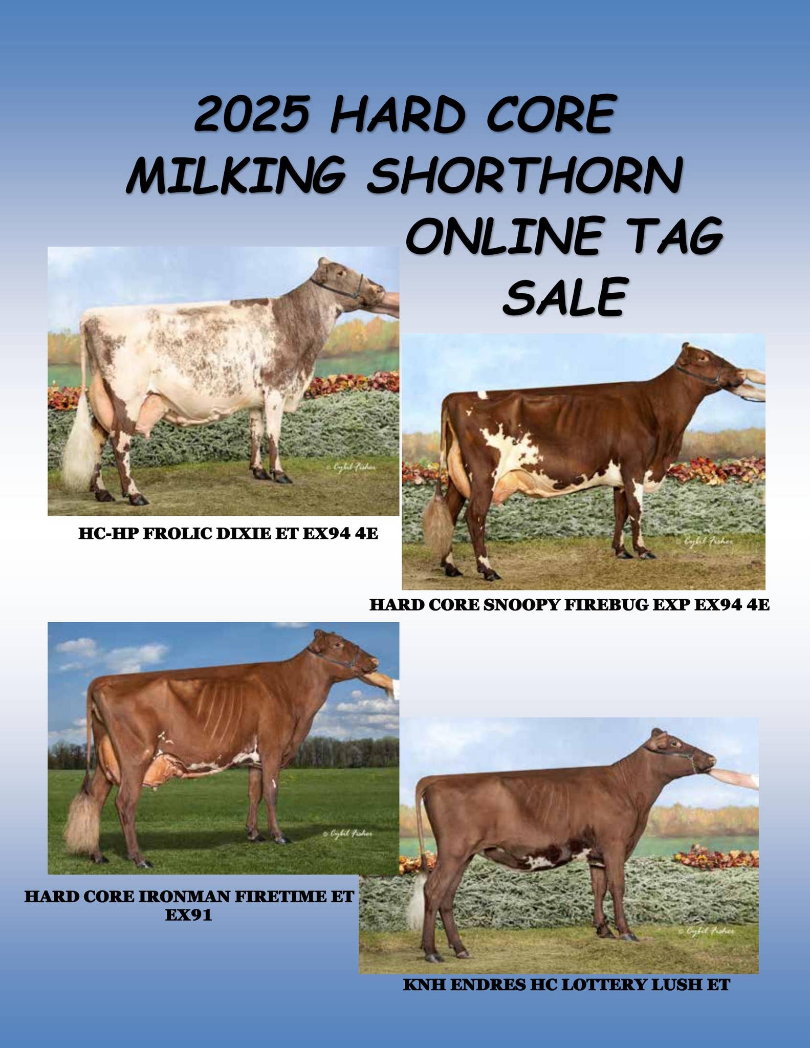 Hard Core MS Online Tag Sale by Cowsmopolitan - Issuu