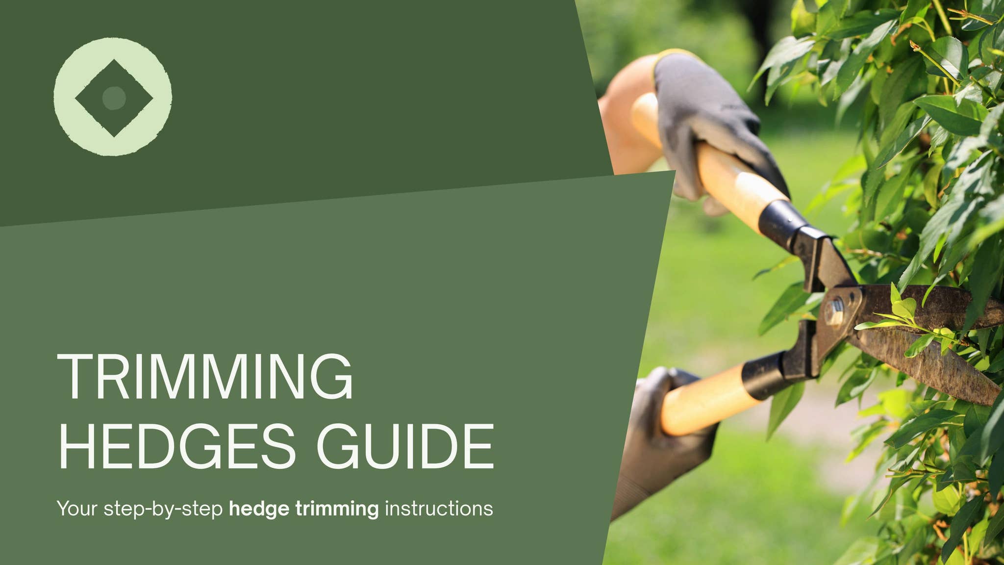 Trimming Hedges Guide by Jermaine Robinson - Issuu