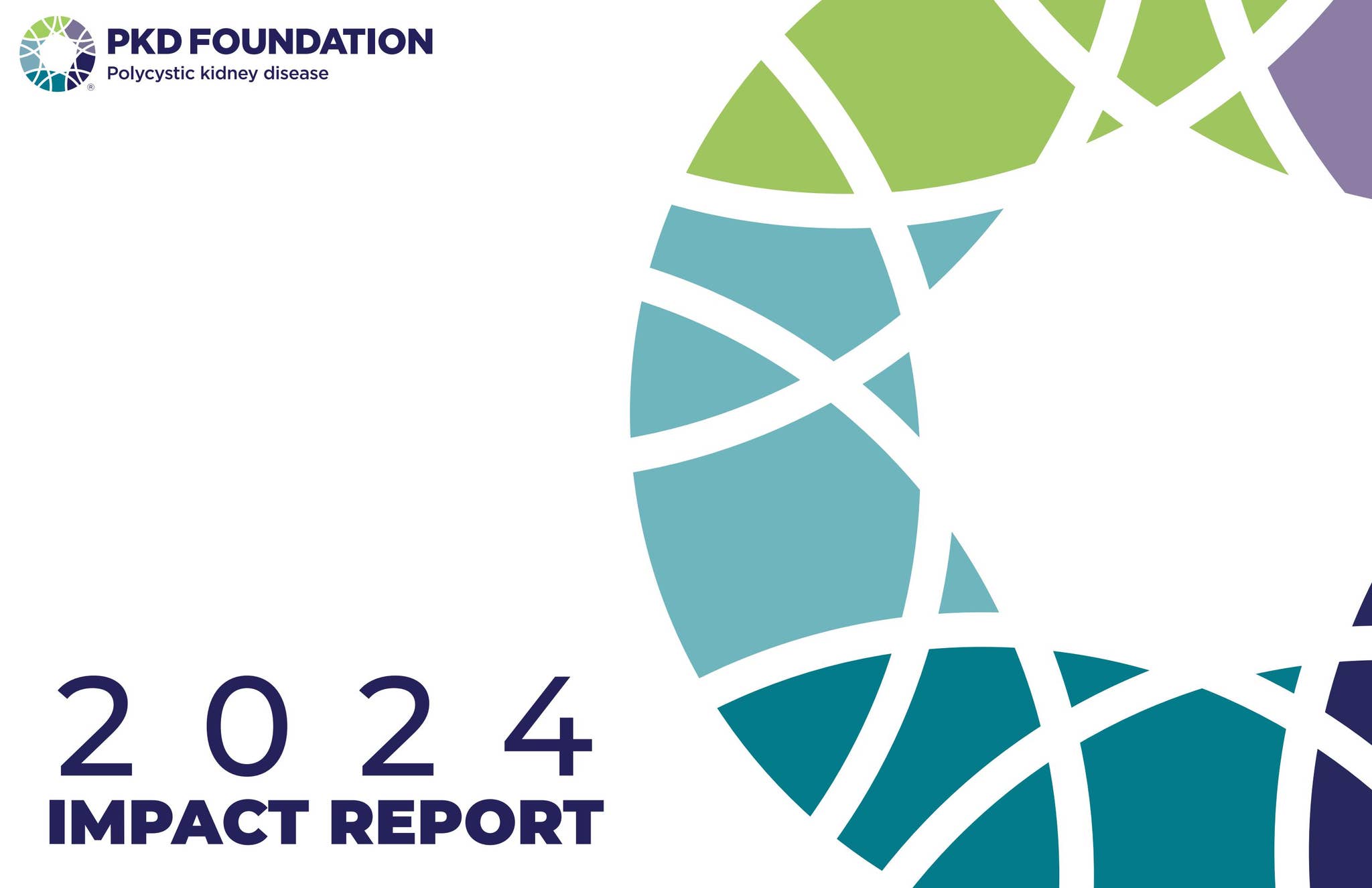 PKD Foundation 2024 Impact Report by pkdf - Issuu