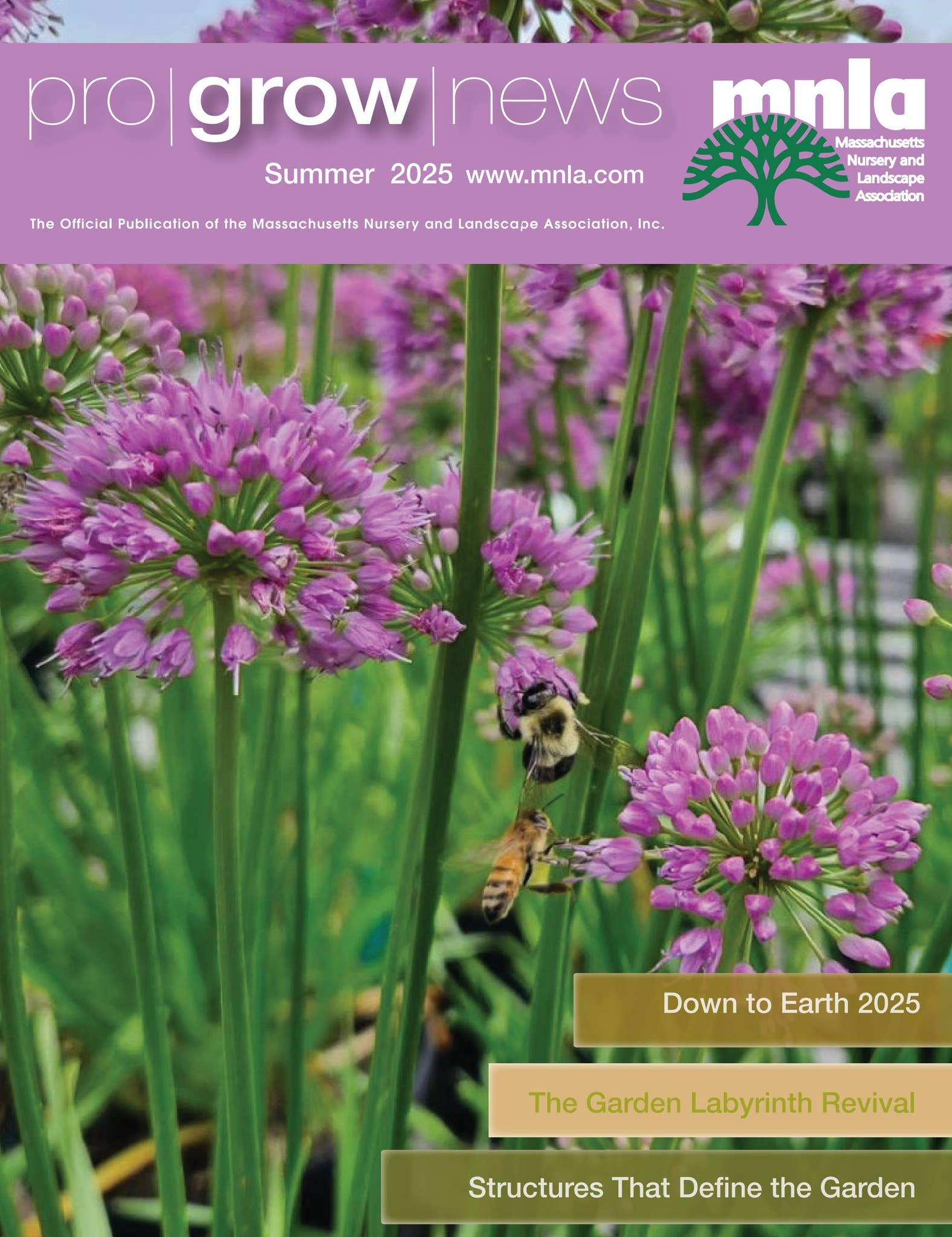 PGN_SUM.25 DIGITAL EDITION by Association Publishing Partners - Issuu