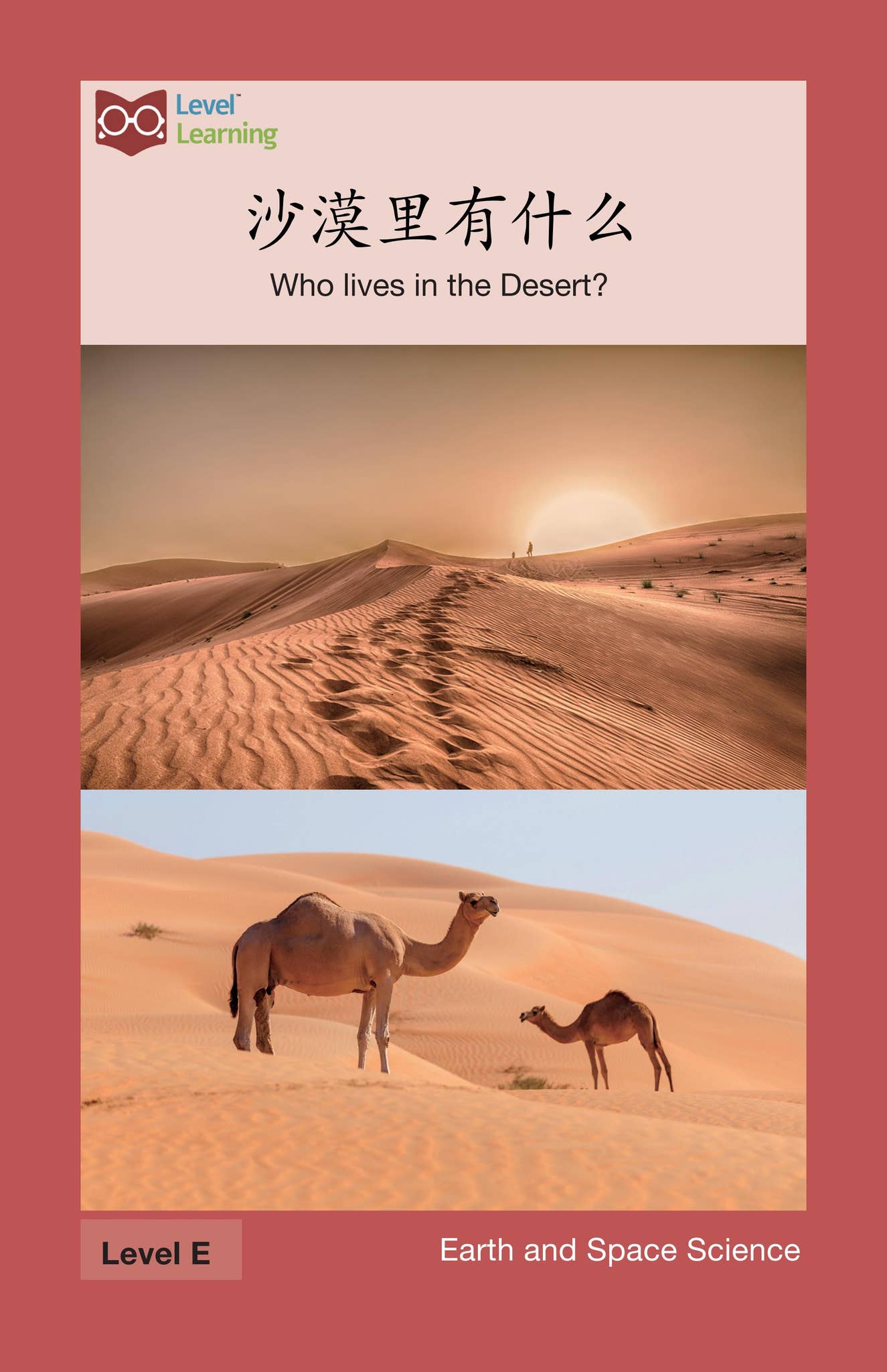 243191_Who lives in the Desert_Proof by marinagraphics - Issuu