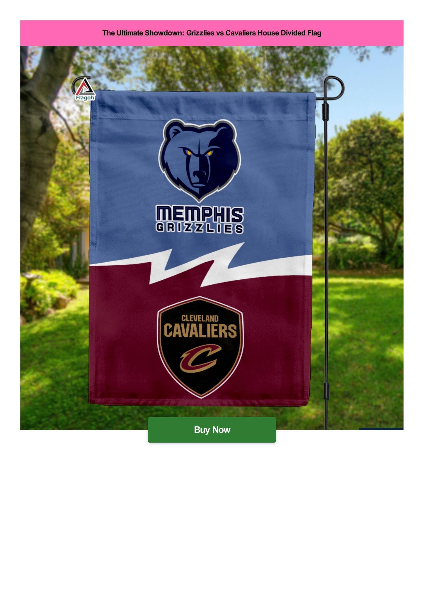 Grizzlies vs Cavaliers House Divided Flag, NBA House Divided Flag by ...