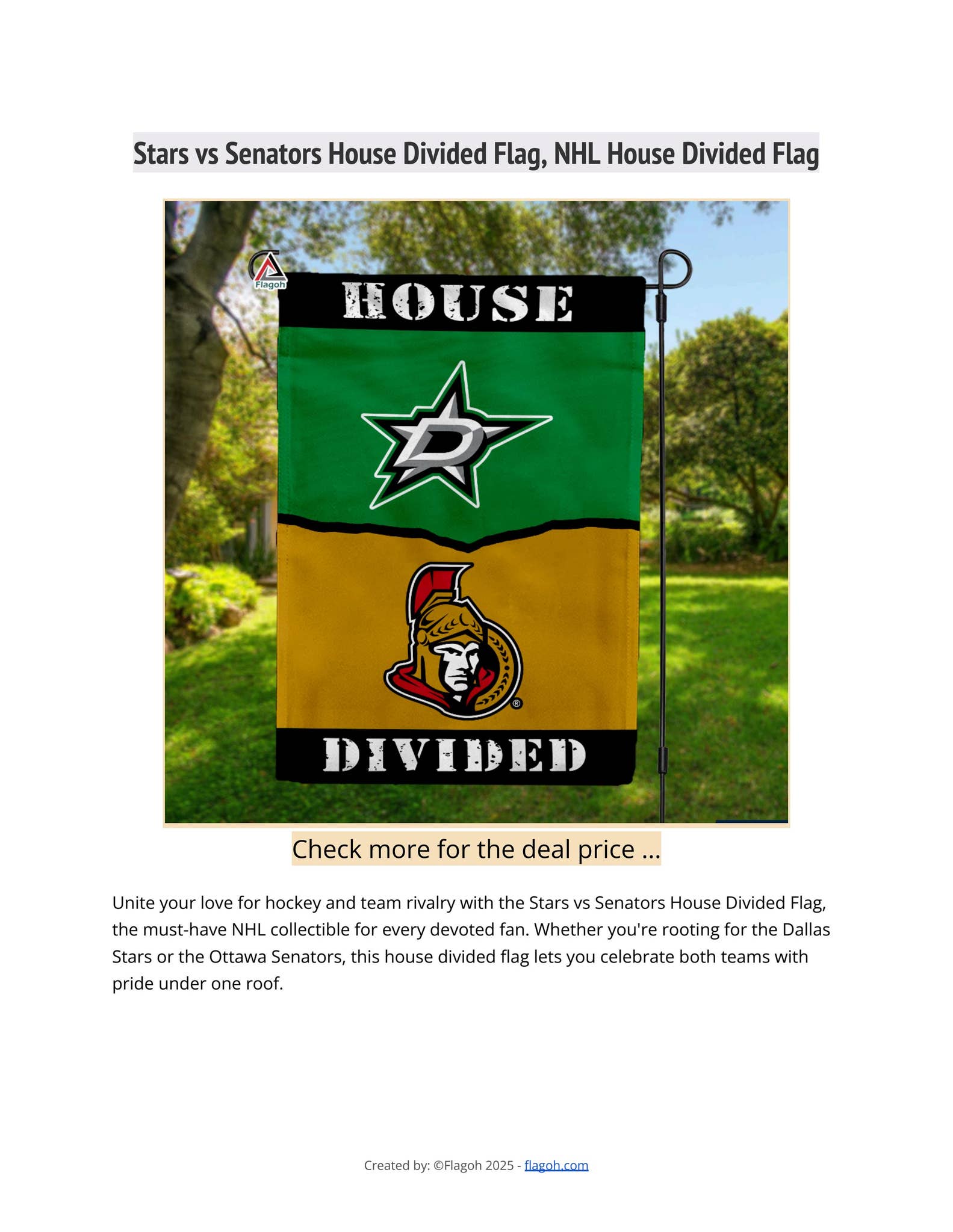 Stars vs Senators House Divided Flag: Show Your NHL Pride with the ...