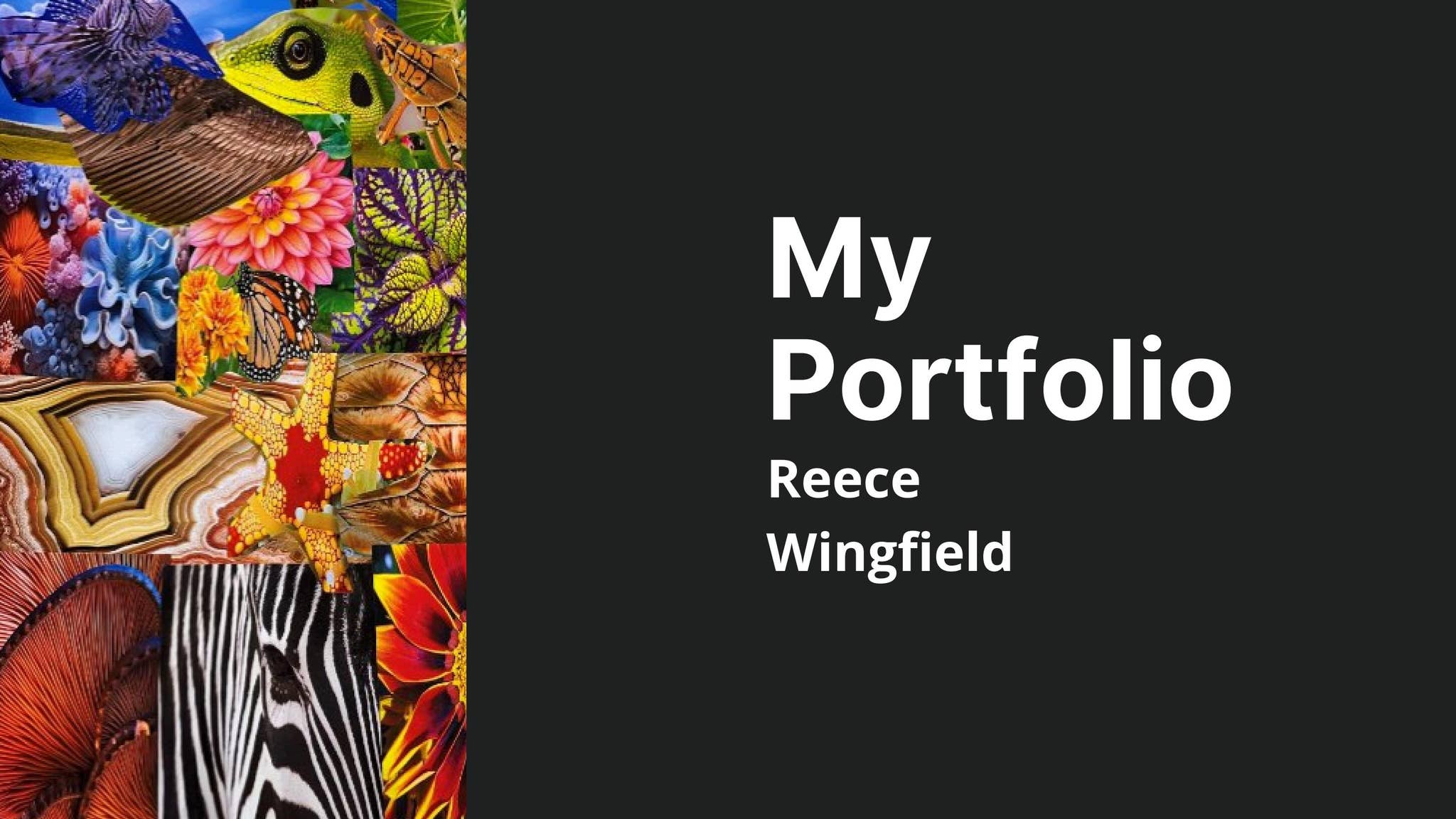 Reece Wingfield Final Portfolio by Wingy123 - Issuu