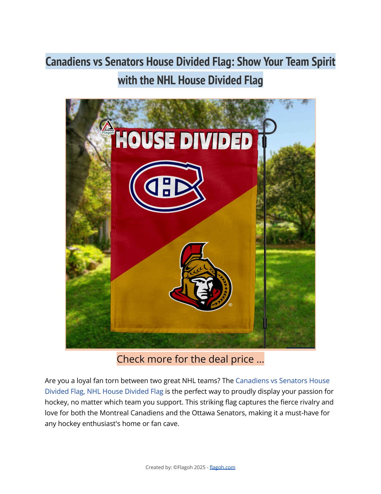 Canadiens vs Senators House Divided Flag: Show Your Team Spirit with ...