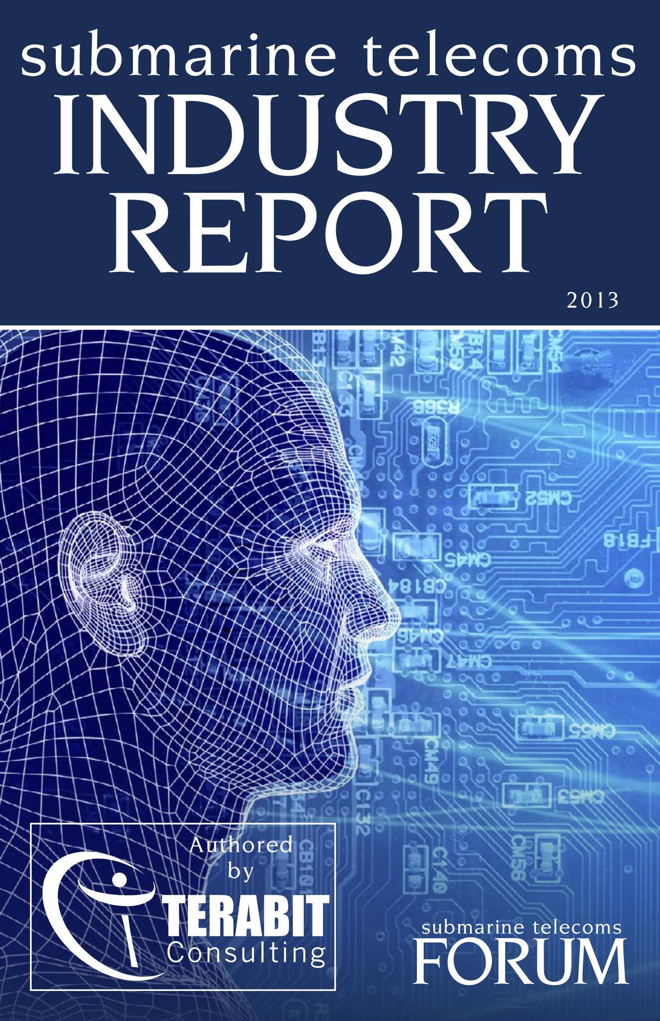 Submarine Telecoms Industry Report Issue 2 by Submarine Telelecoms ...
