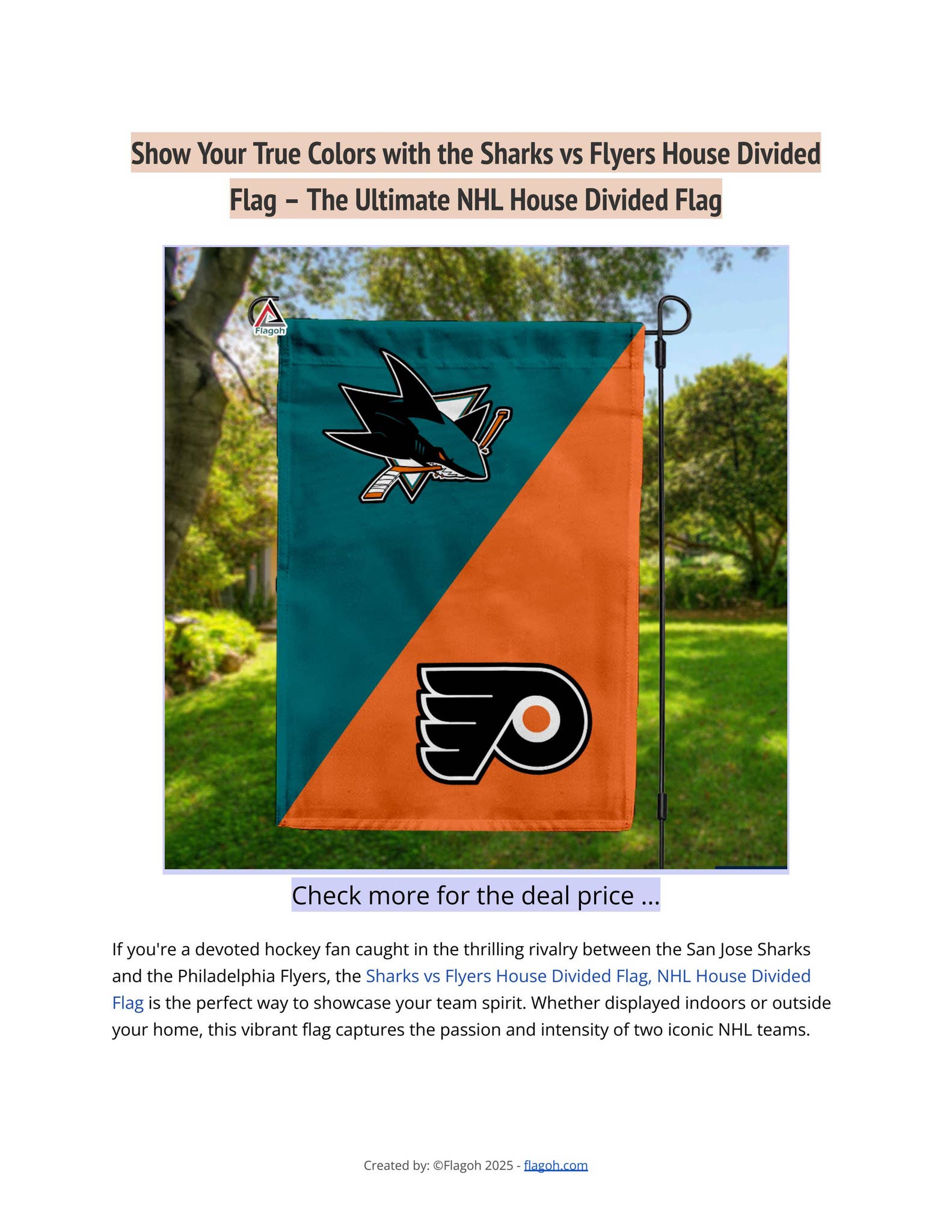 Show Your True Colors with the Sharks vs Flyers House Divided Flag ...