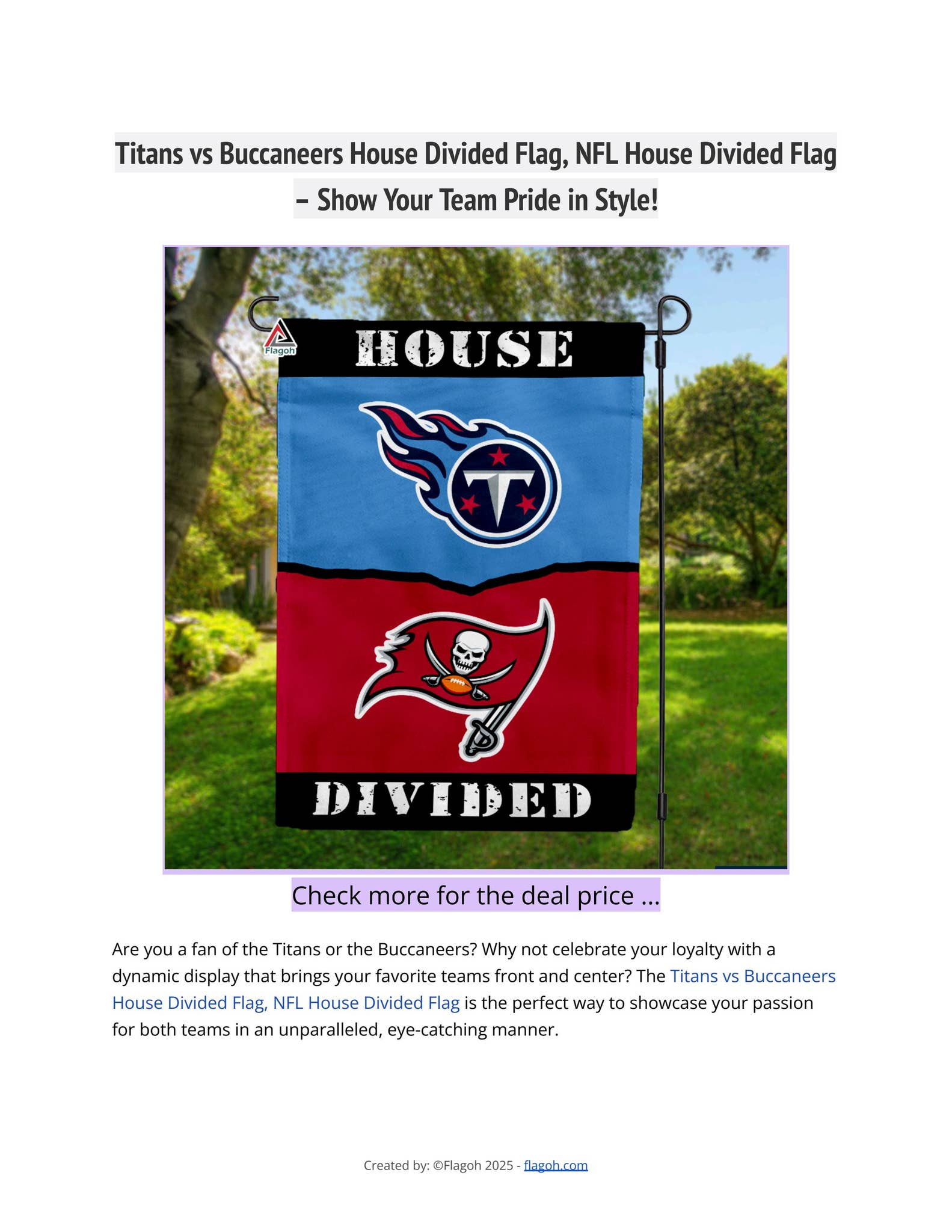 Titans vs Buccaneers House Divided Flag, NFL House Divided Flag – Show ...