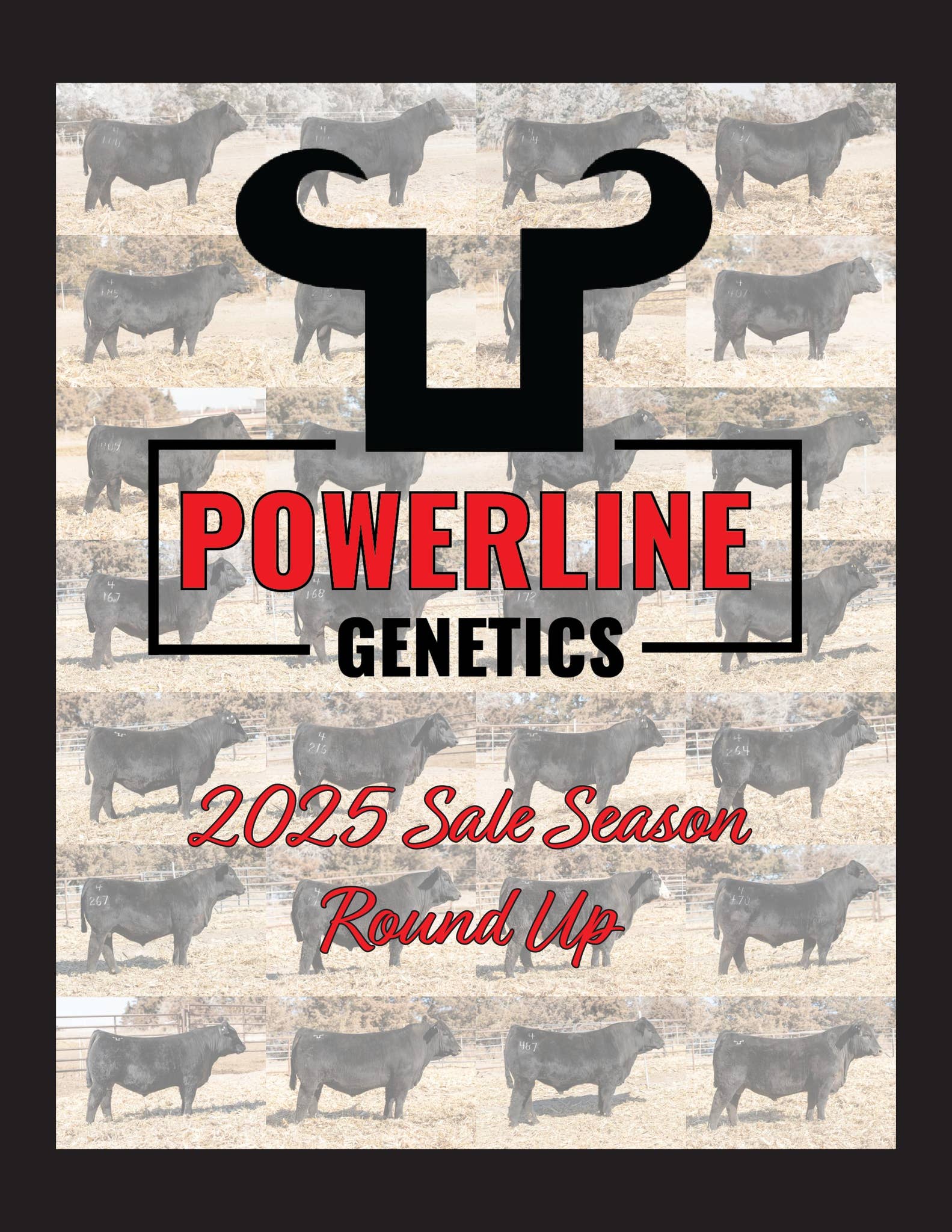 2025 Powerline Genetics Sale Season Round Up by Bobbi Hartwig - Issuu