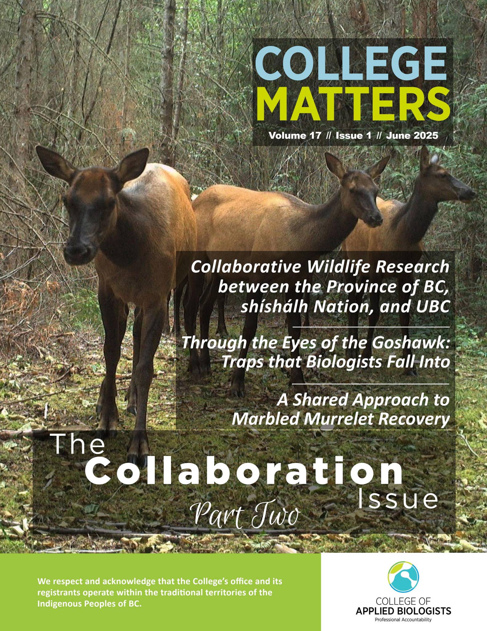 College Matters v17 i1 JUNE2025_ONLINE_FINAL by College of Applied ...