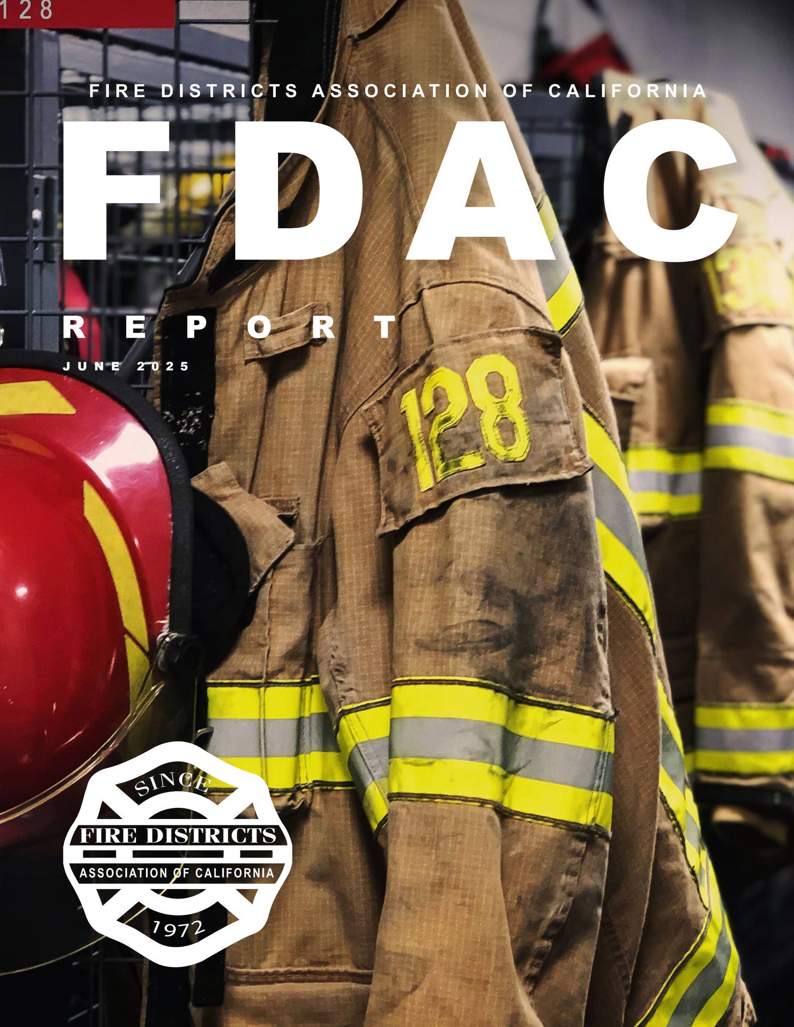 FDAC Report - 2025 June by FDAC - Issuu