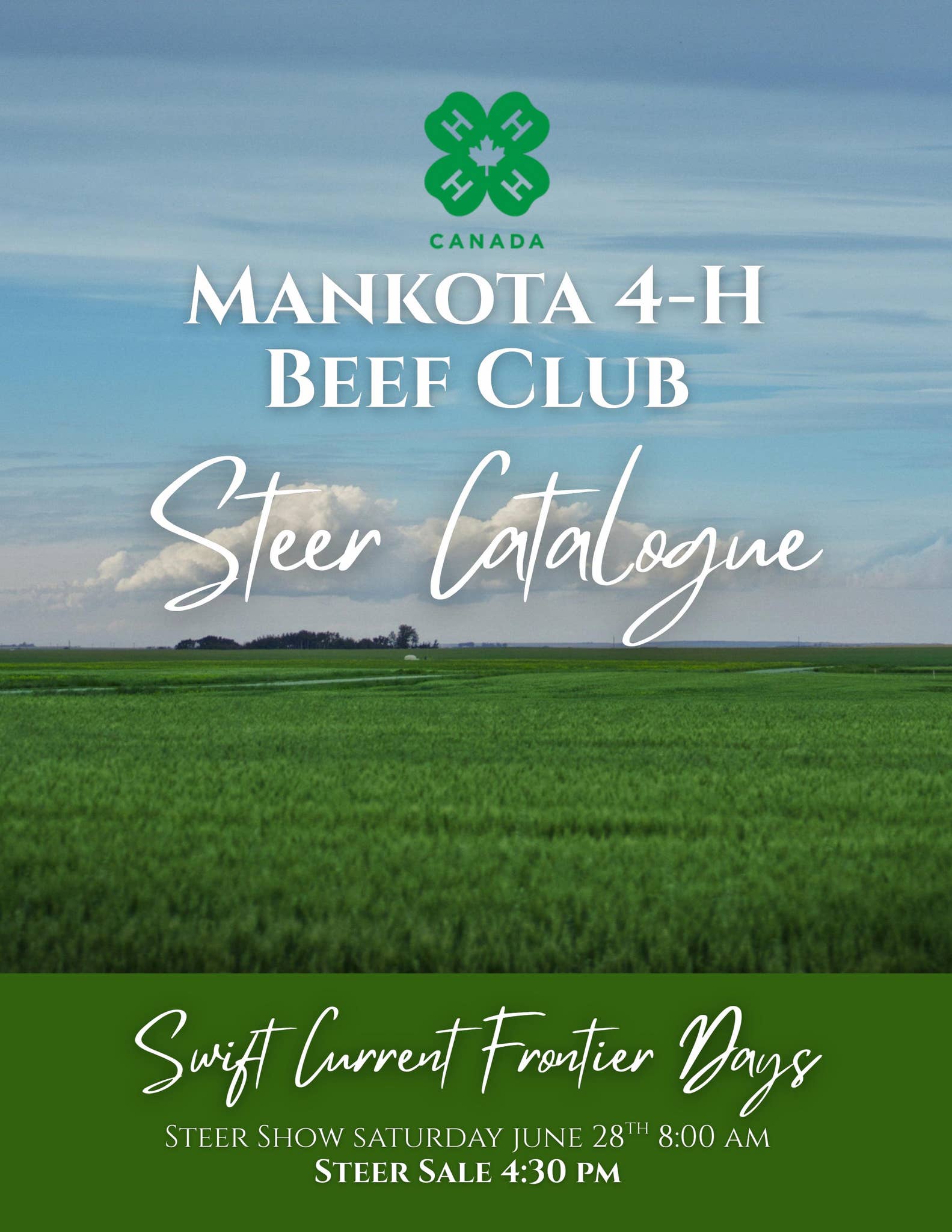 Mankota 4-H Beef Club 2025 Catalogue by Lonesome Dove Ranch - Issuu