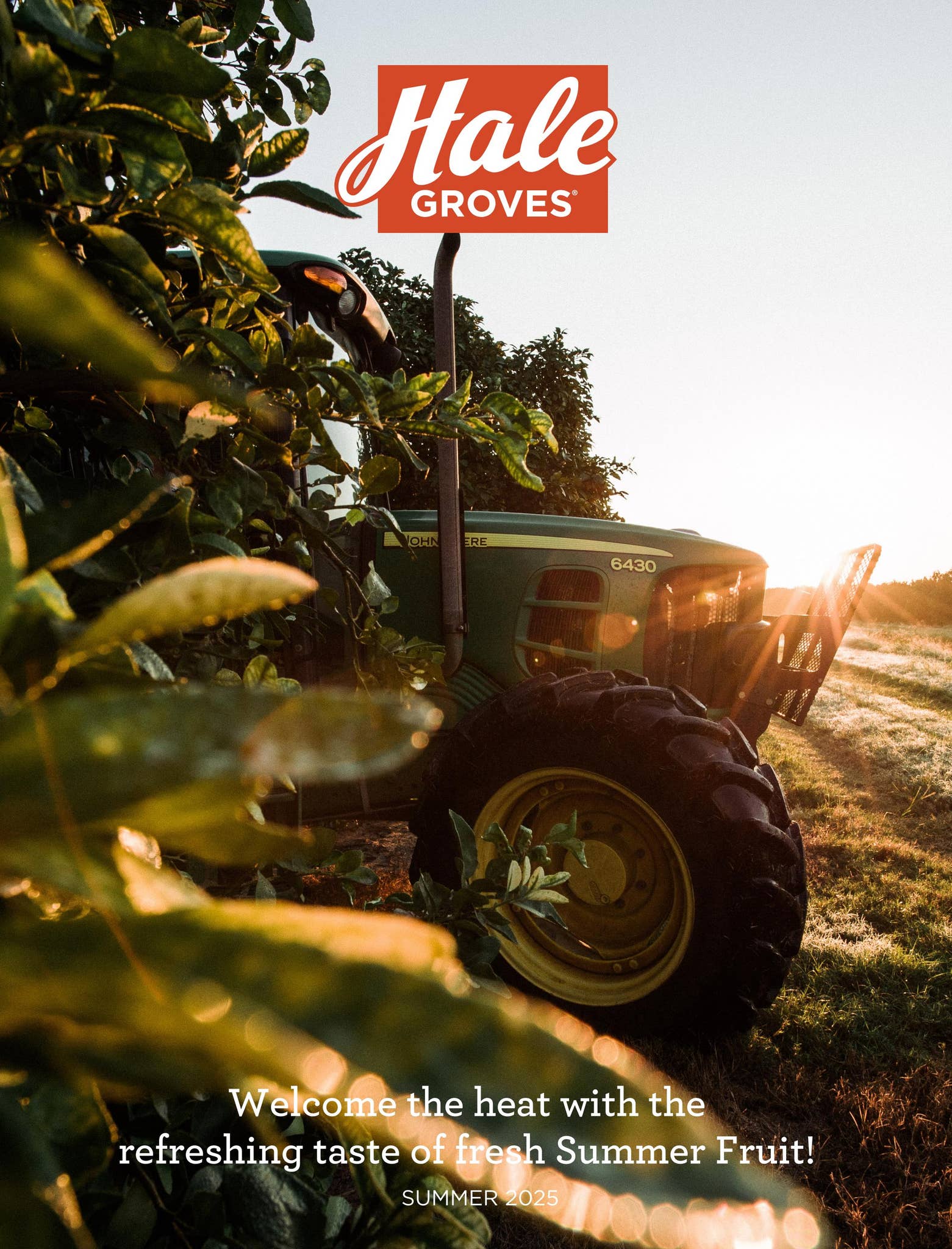 Hale Groves Catalog Summer 2025 by Indrio Brands - Issuu