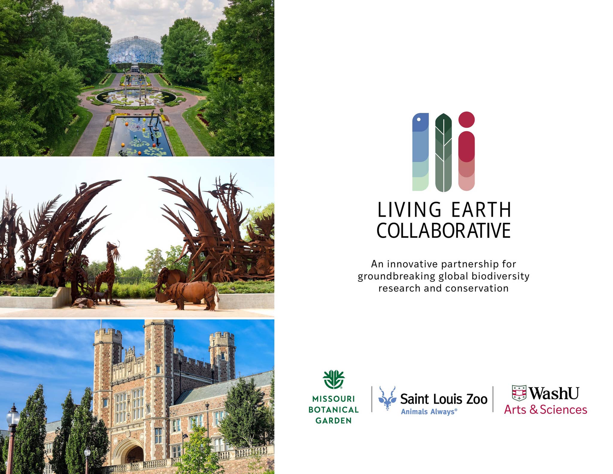 Living Earth Collaborative by WashU Arts & Sciences - Issuu