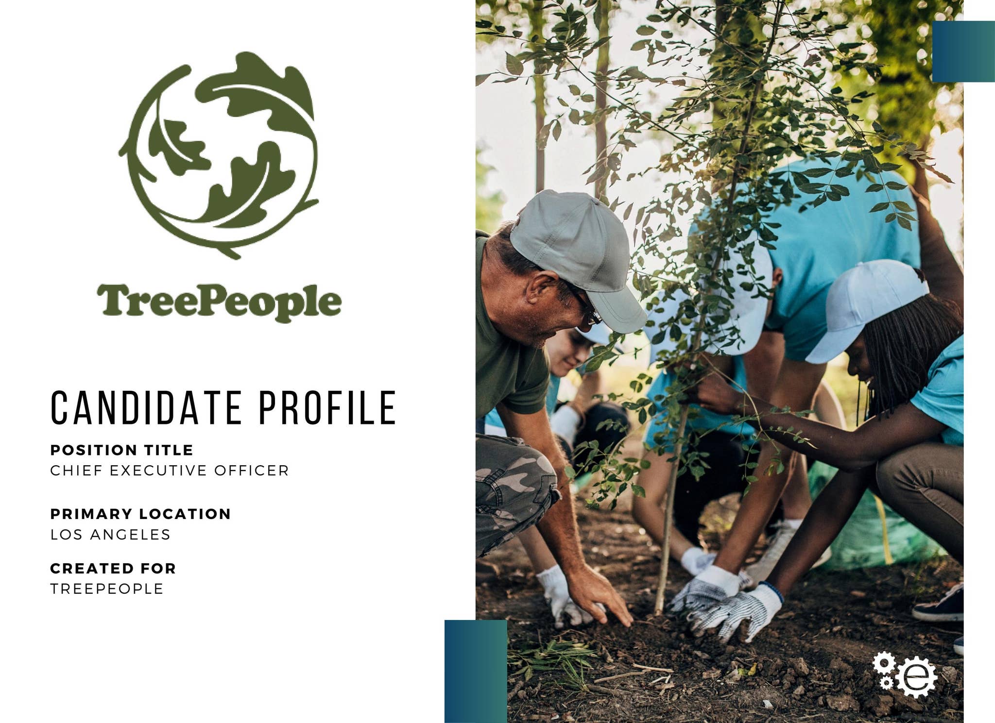 TreePeople Candidate Profile by Envision Consulting - Issuu