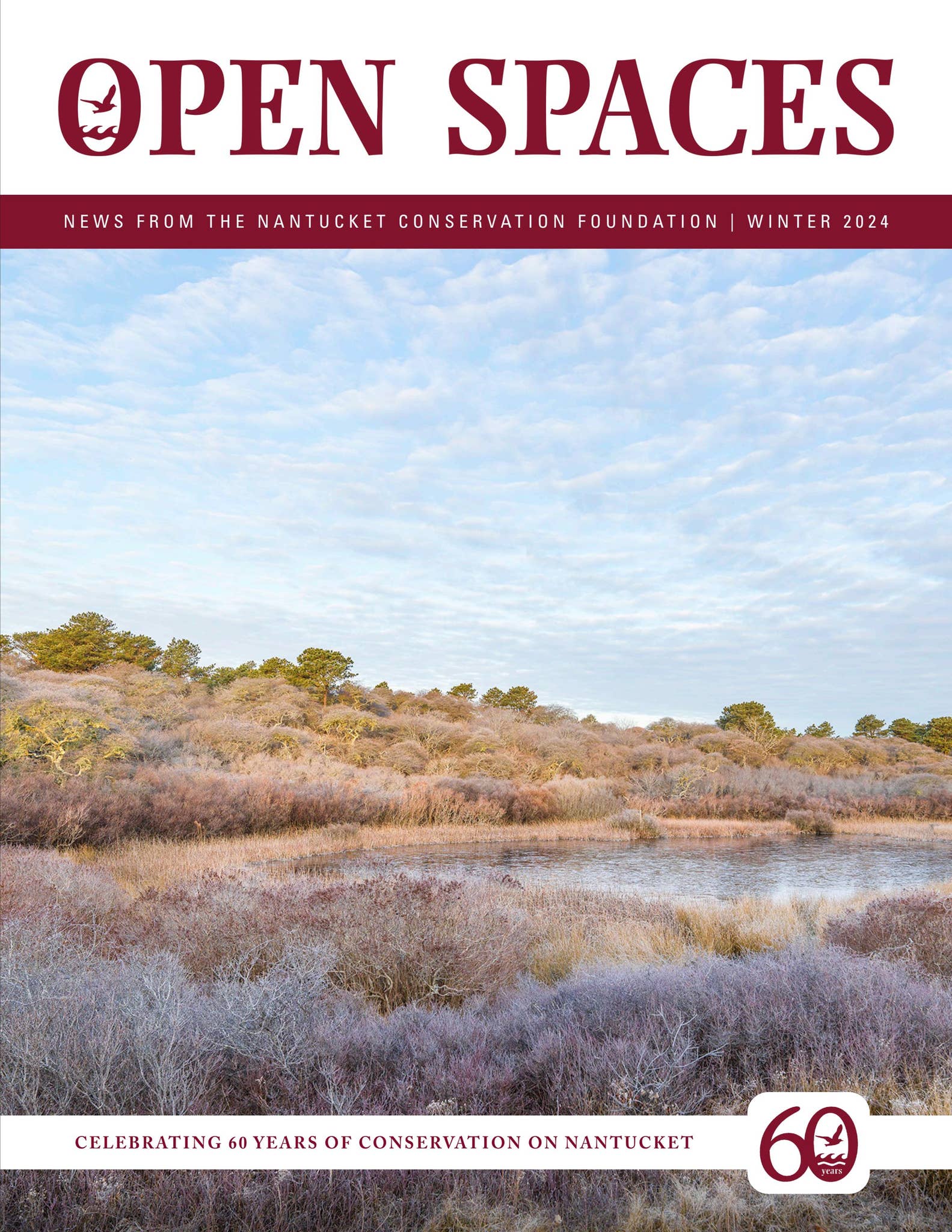 NCF Open Spaces Winter 2024 by ackconservation - Issuu