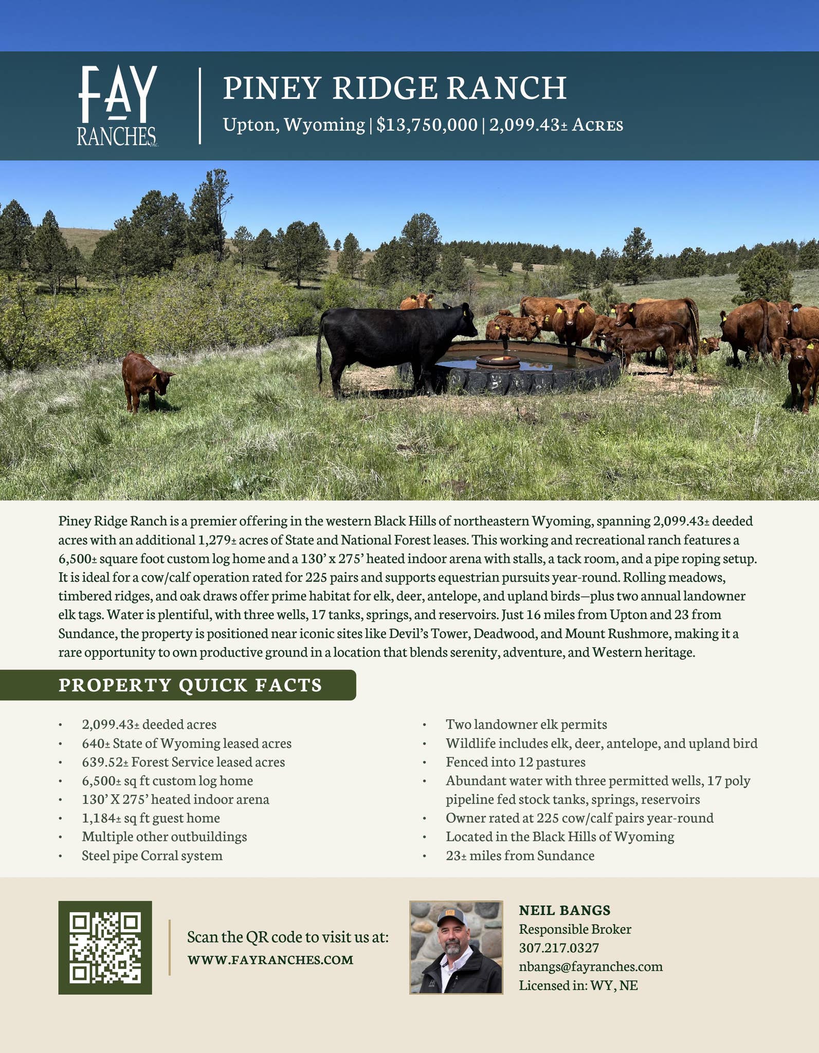 Piney Ridge Ranch One-Sheet | Fay Ranches by Fay Ranches - Issuu