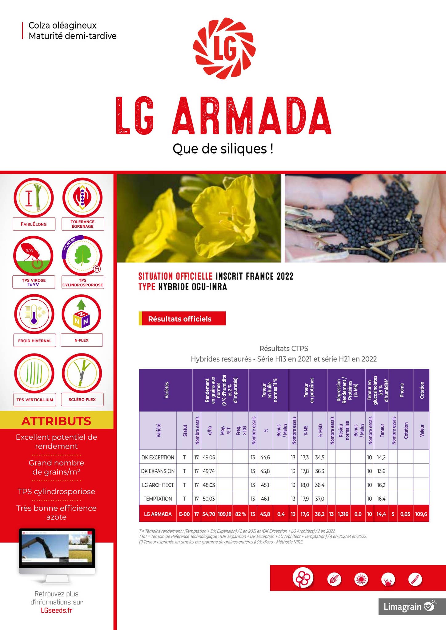 LG armada by LG Seeds Belgium - Issuu