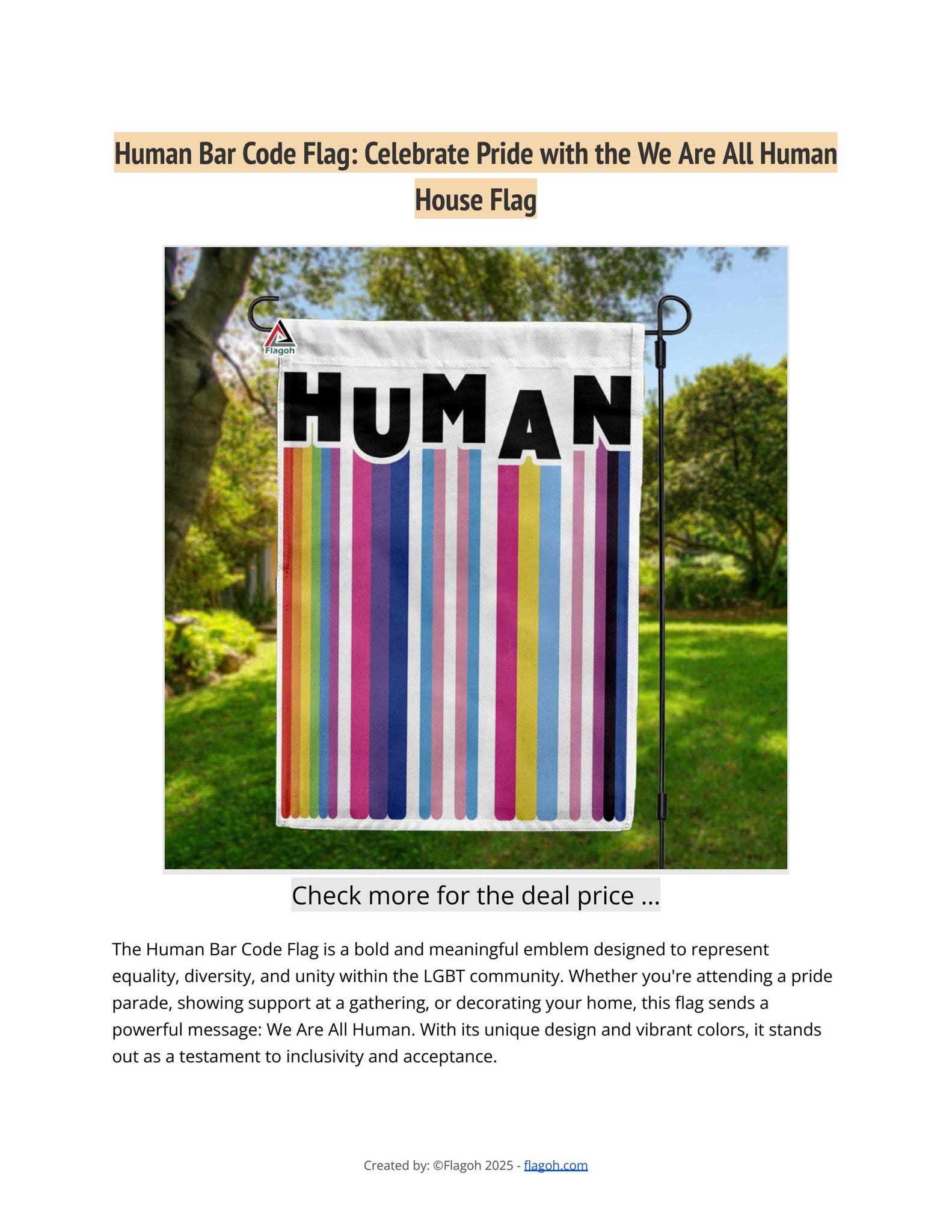 Human Bar Code Flag: Celebrate Pride with the We Are All Human House ...