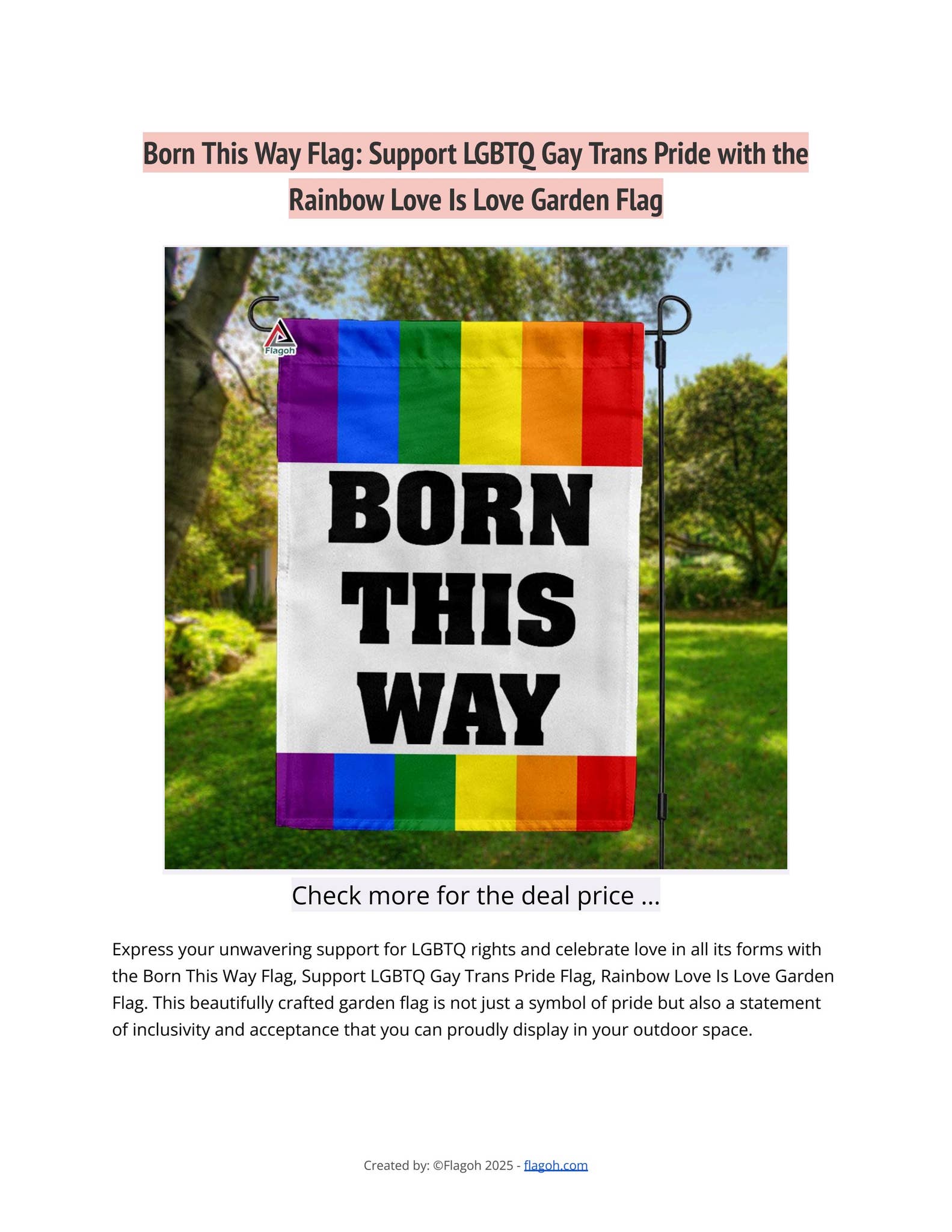 Born This Way Flag: Support LGBTQ Gay Trans Pride with the Rainbow Love ...