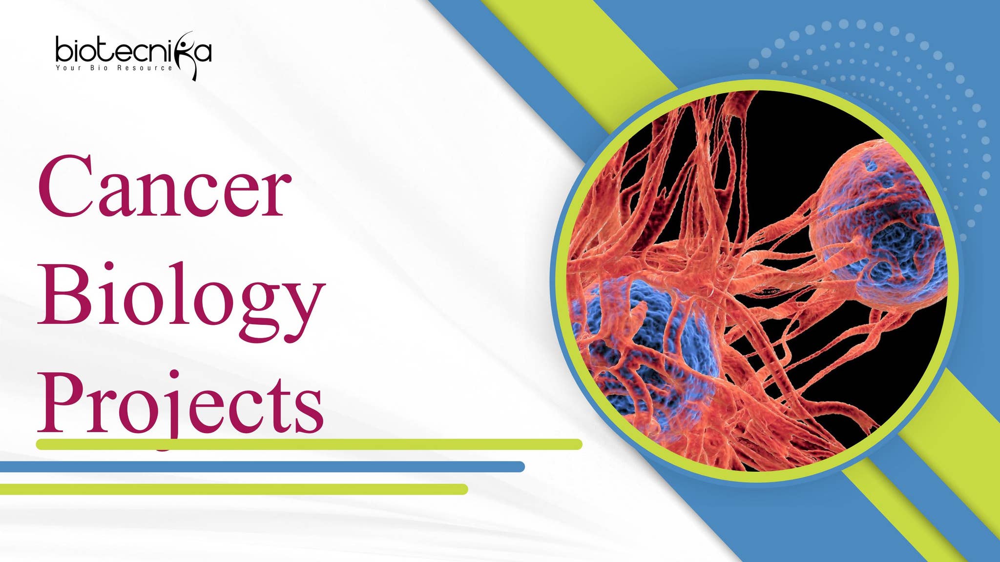 Cancer Biology Project Case Study 1 by BioTecNika - Issuu