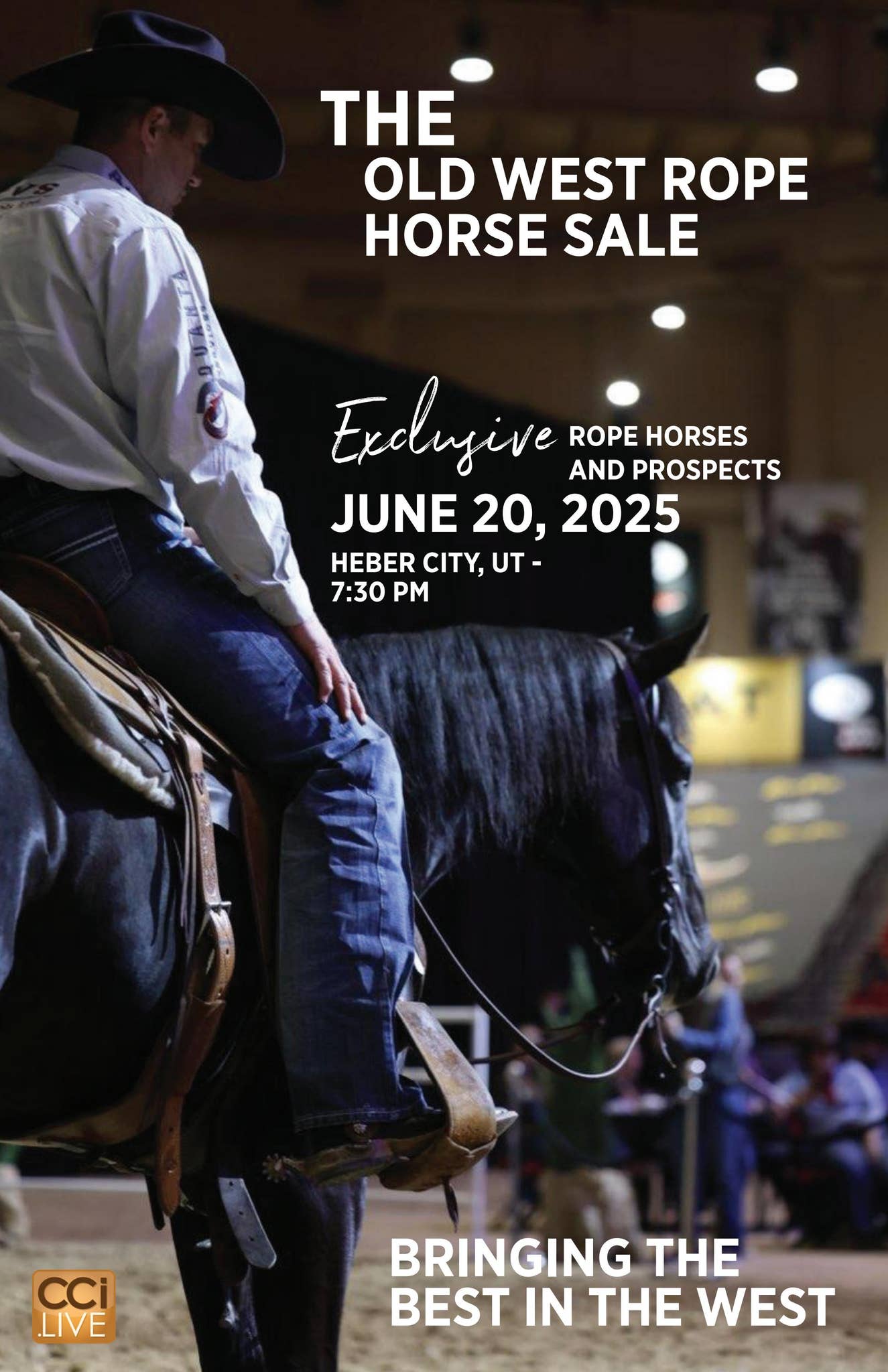 2025 Old West Rope Horse Sale by Julie Murnin - Issuu