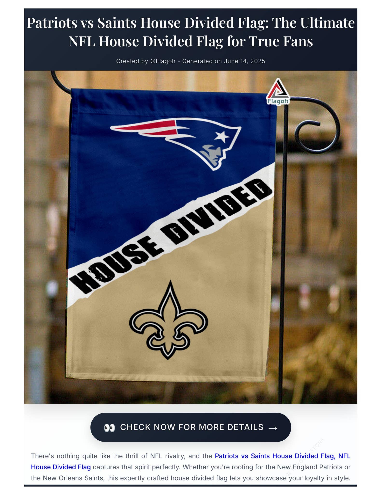 Patriots vs Saints House Divided Flag: The Ultimate NFL House Divided ...