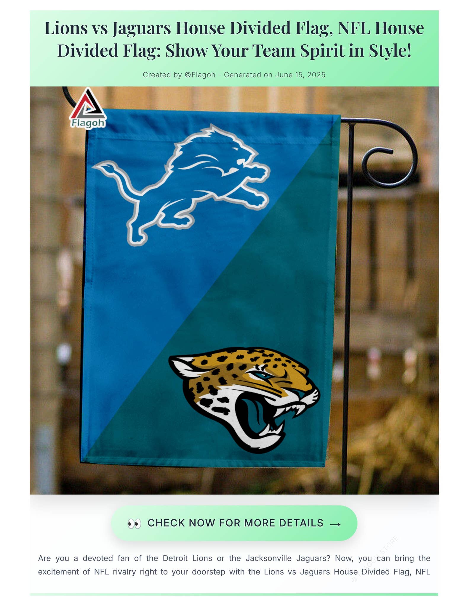Lions vs Jaguars House Divided Flag, NFL House Divided Flag: Show Your ...