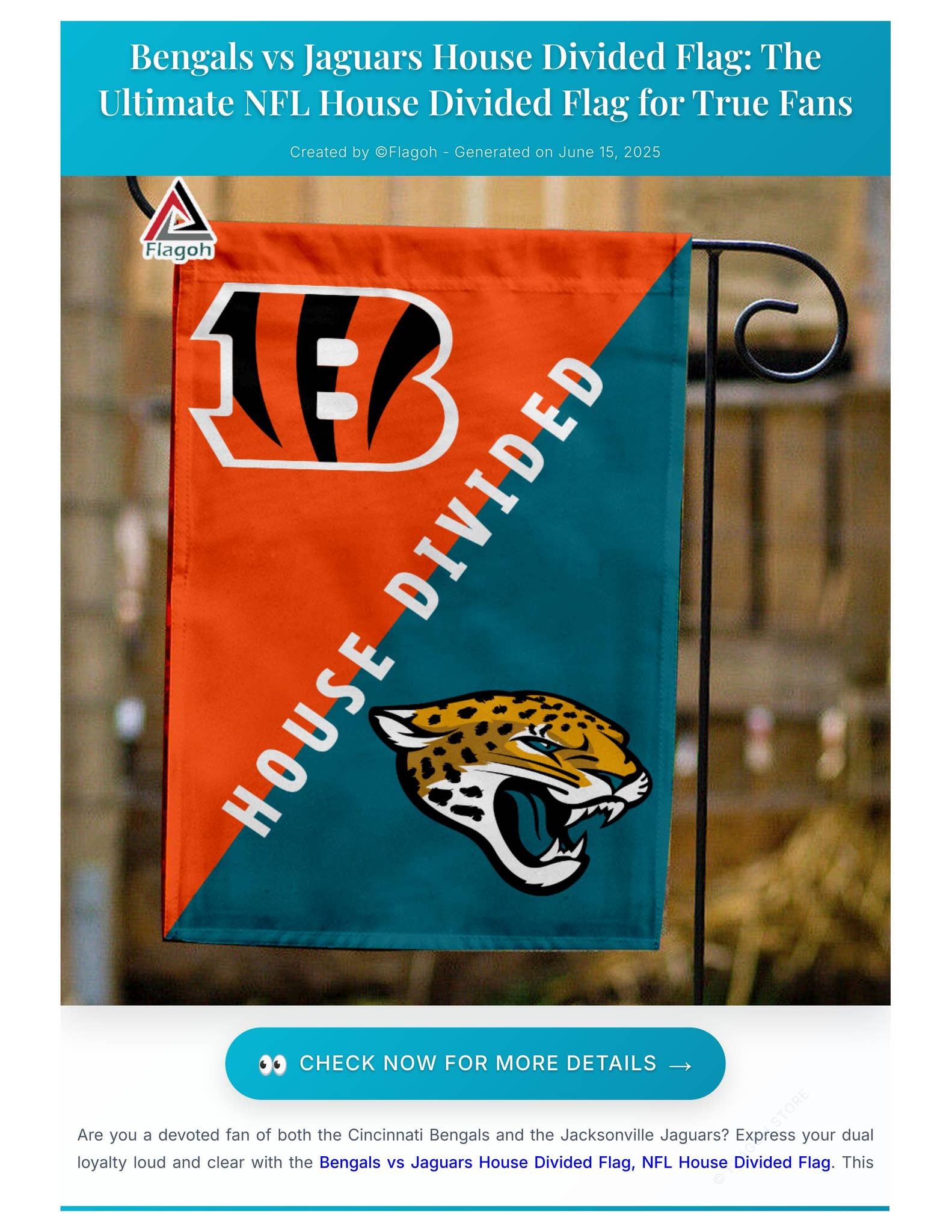 Bengals vs Jaguars House Divided Flag: The Ultimate NFL House Divided ...