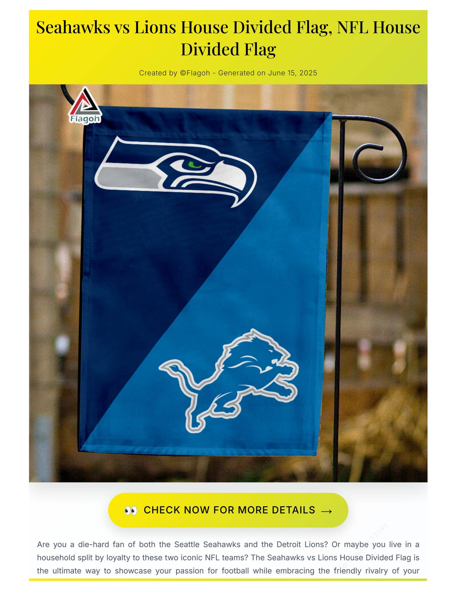 Seahawks vs Lions House Divided Flag, NFL House Divided Flag - Perfect ...