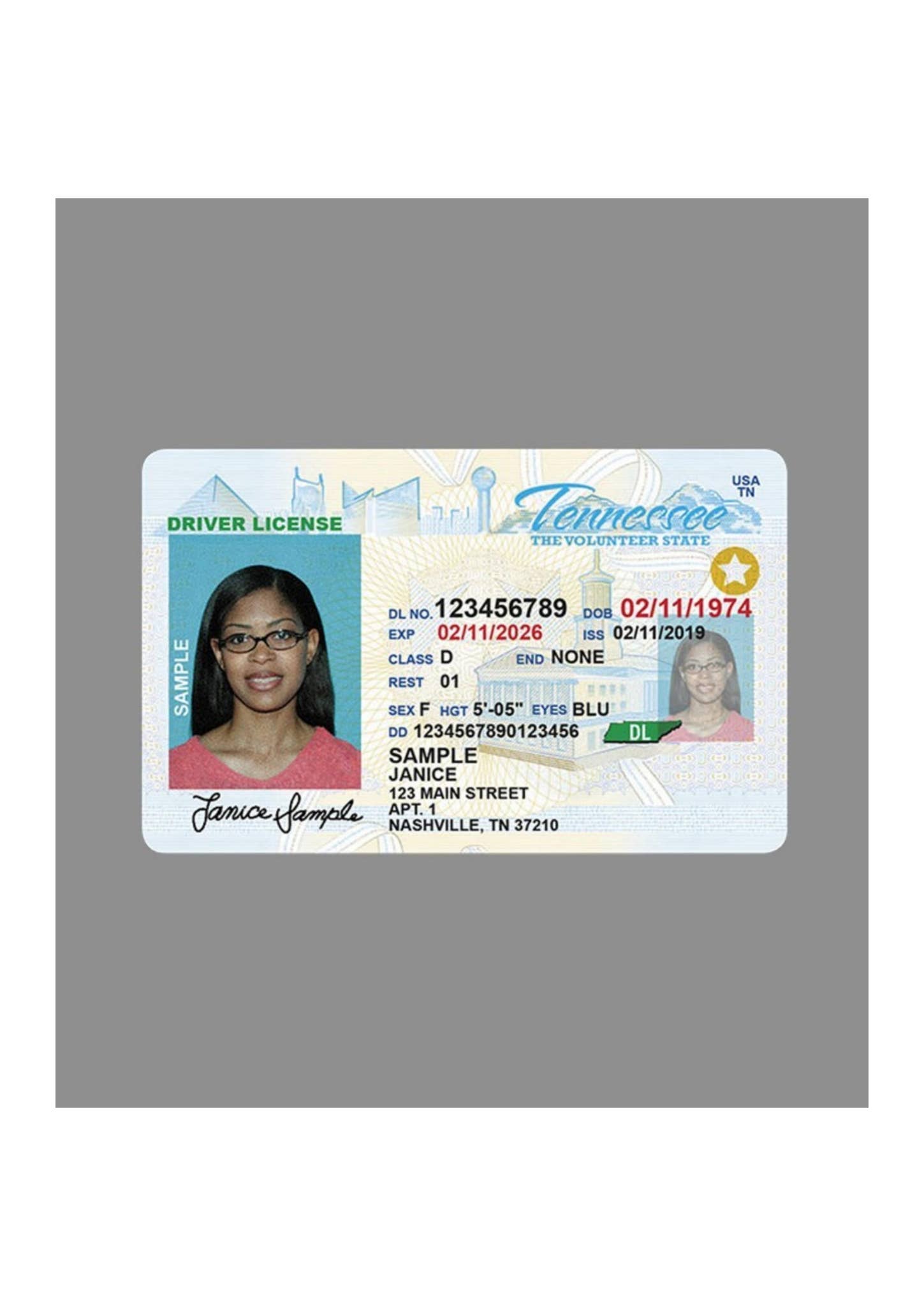 Download Tennessee Drivers License Template (Front & Back) V2 ...