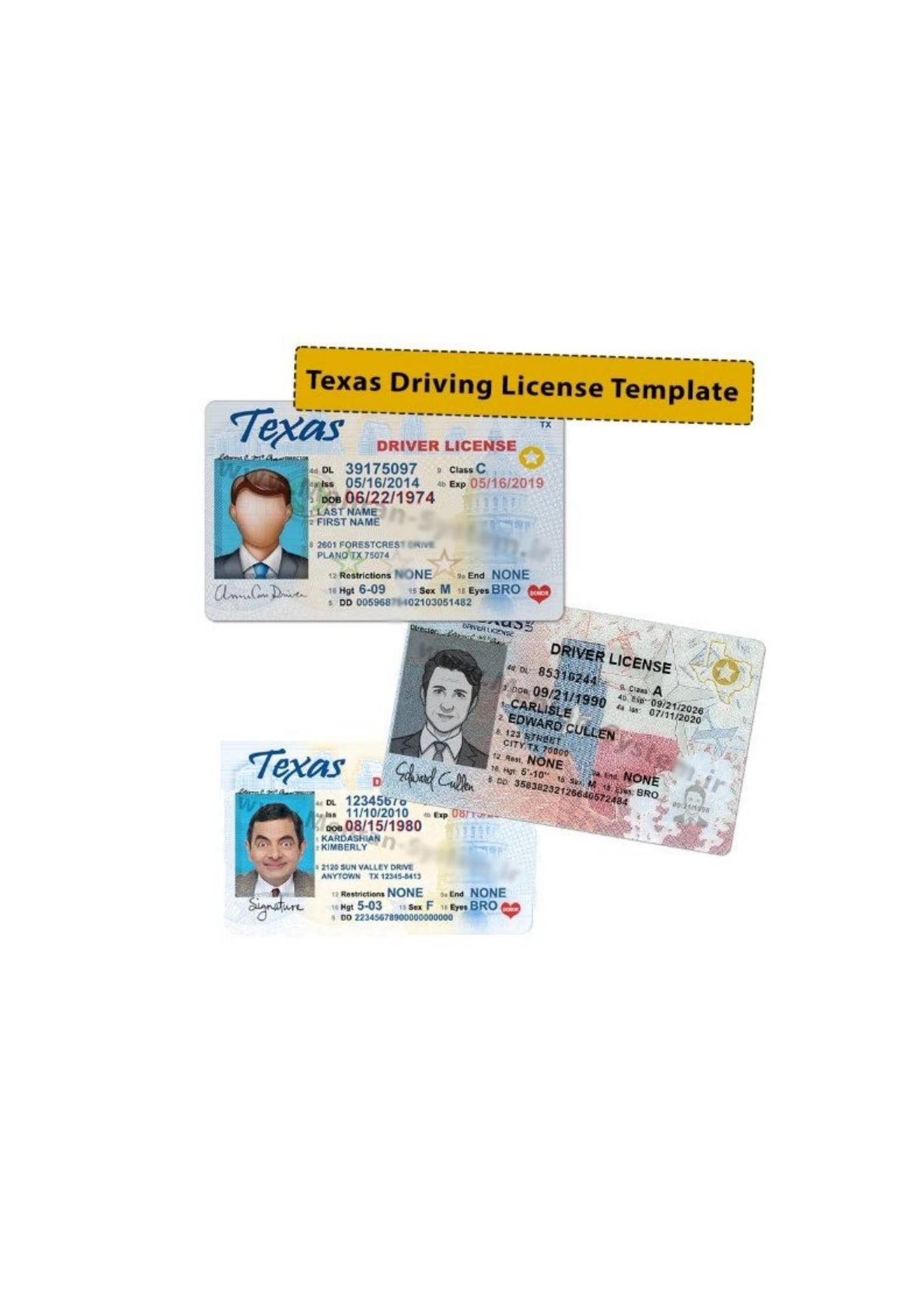 Download Texas Drivers License Template (scan) V2 - Globalpsdtemplate ...