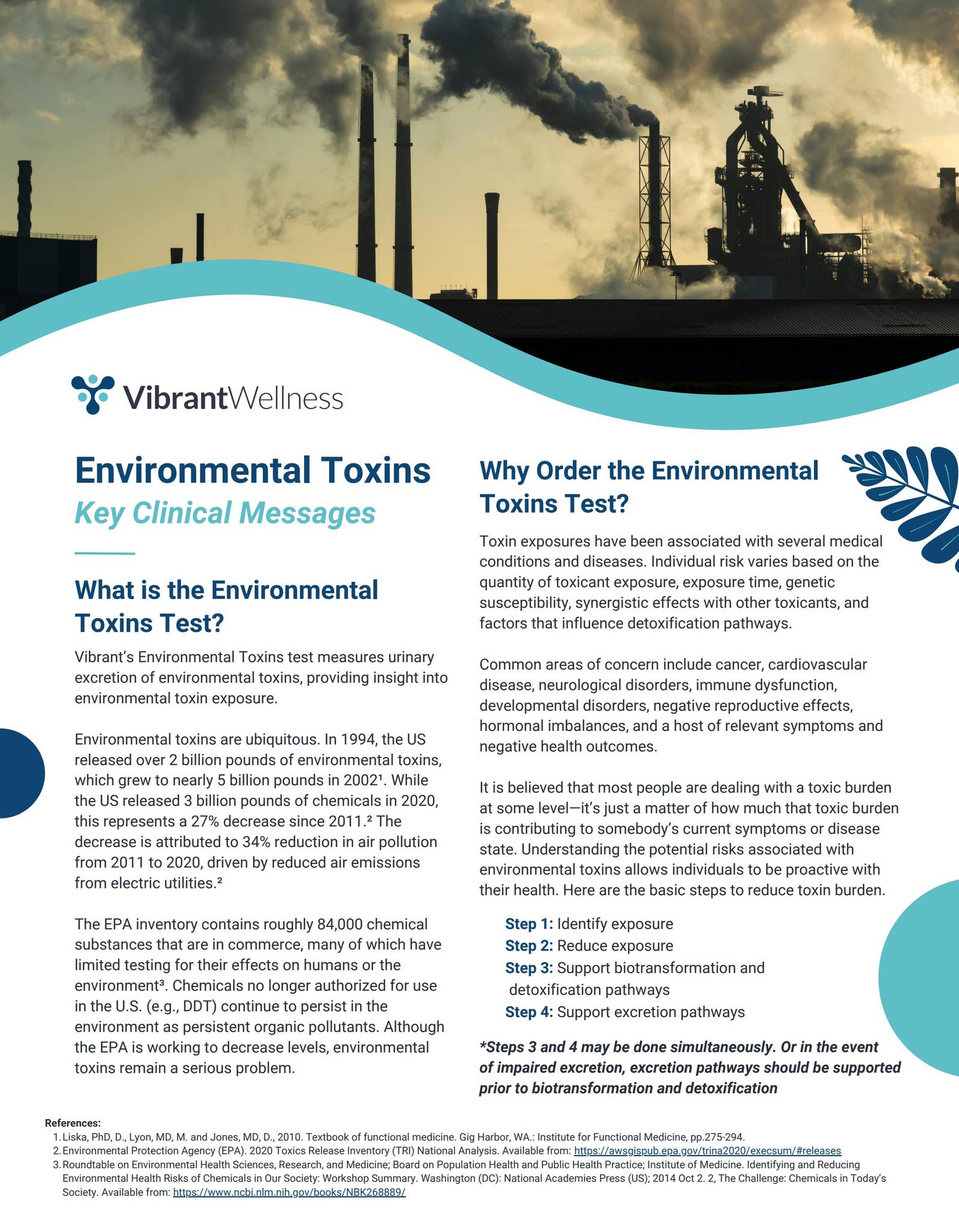Environmental Toxins Testing by Hippocrates Wellness - Issuu