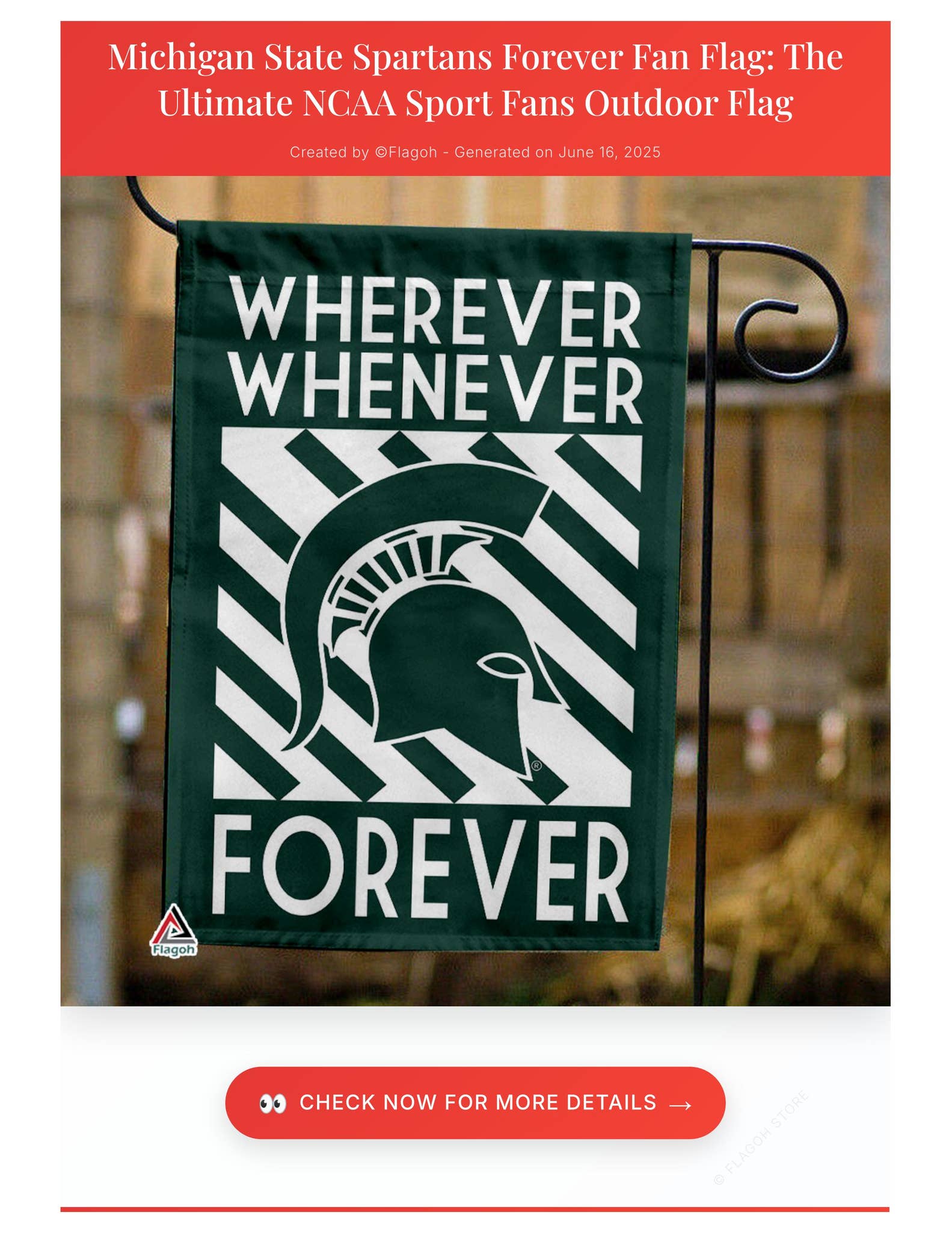 Michigan State Spartans Forever Fan Flag: The Ultimate NCAA Sport Fans ...