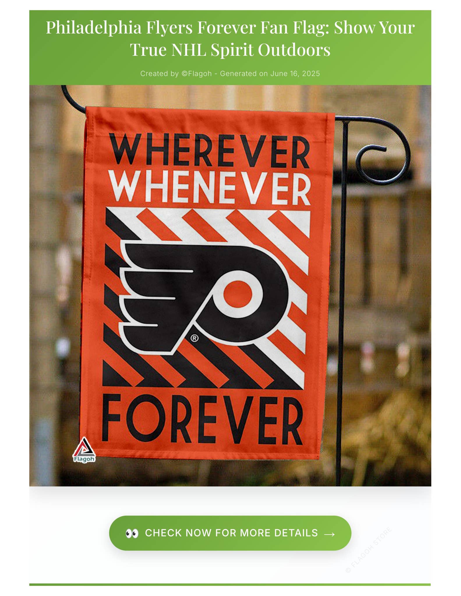 Philadelphia Flyers Forever Fan Flag: Show Your True NHL Spirit ...
