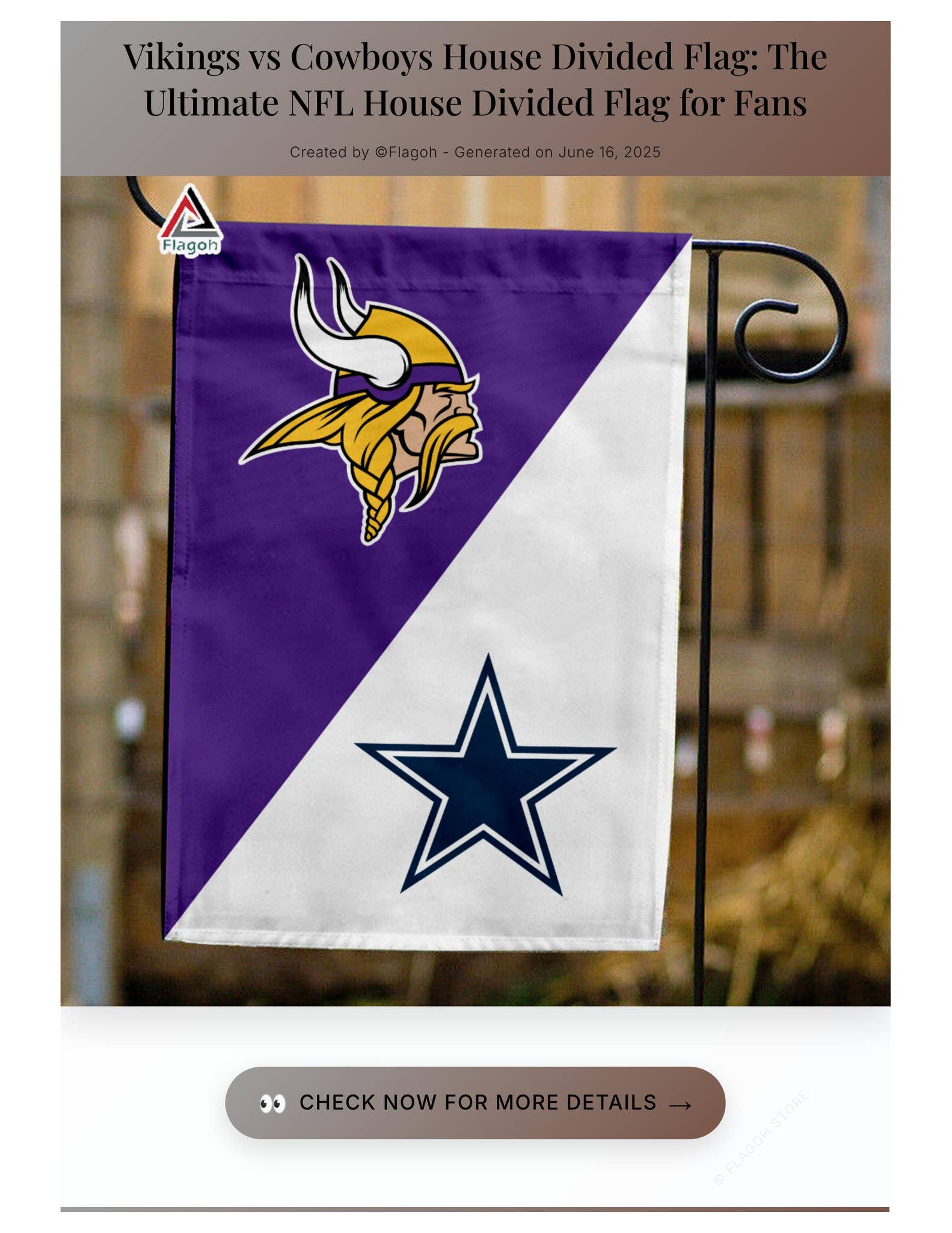 Vikings vs Cowboys House Divided Flag: The Ultimate NFL House Divided ...