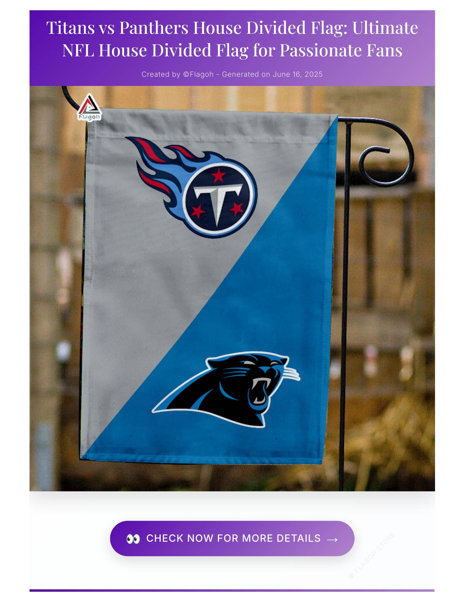 Titans vs Panthers House Divided Flag: Ultimate NFL House Divided Flag ...