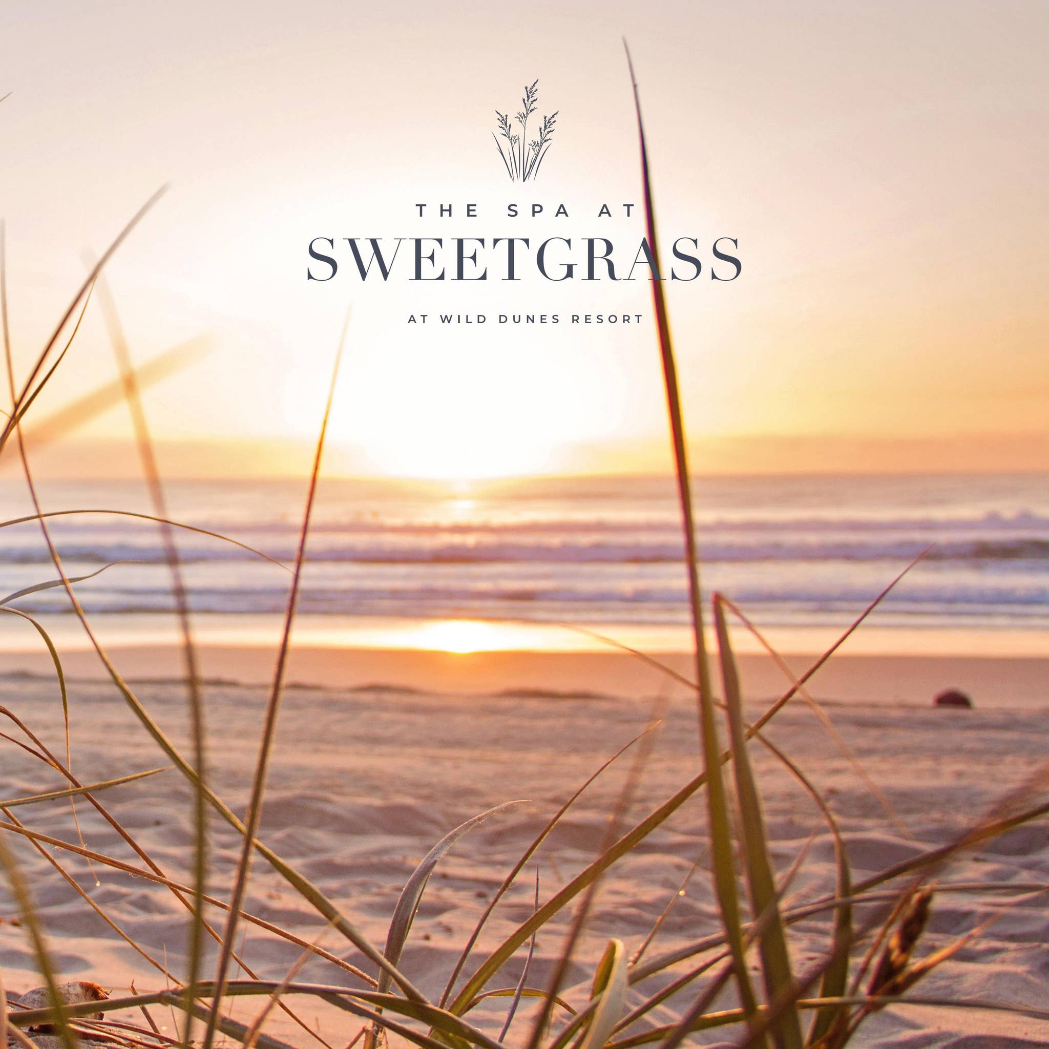 The Spa at Sweetgrass Menu by Wild Dunes Resort - Issuu