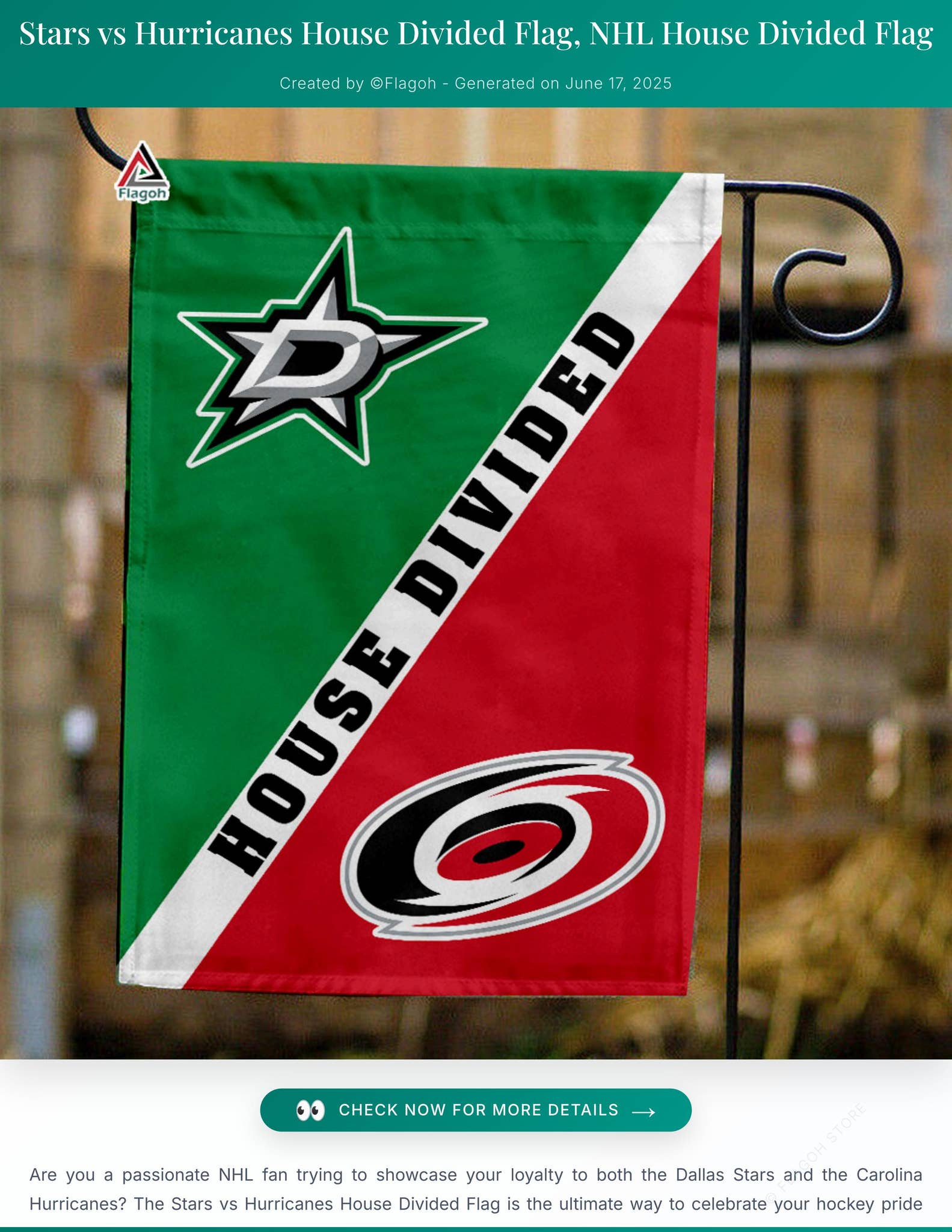 Stars vs Hurricanes House Divided Flag: Show Your NHL Pride with This ...