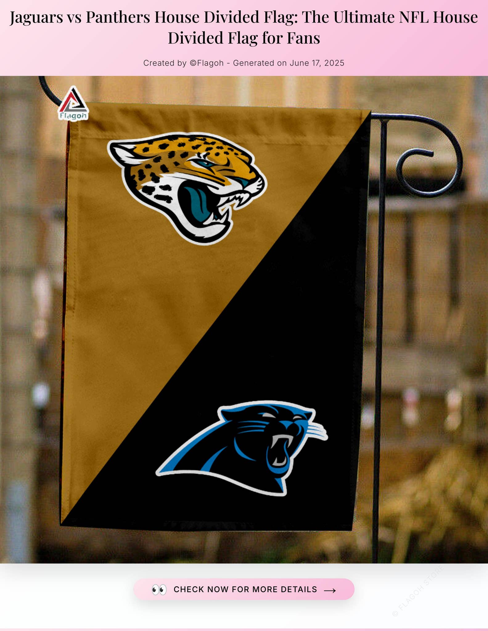 Jaguars vs Panthers House Divided Flag: The Ultimate NFL House Divided ...