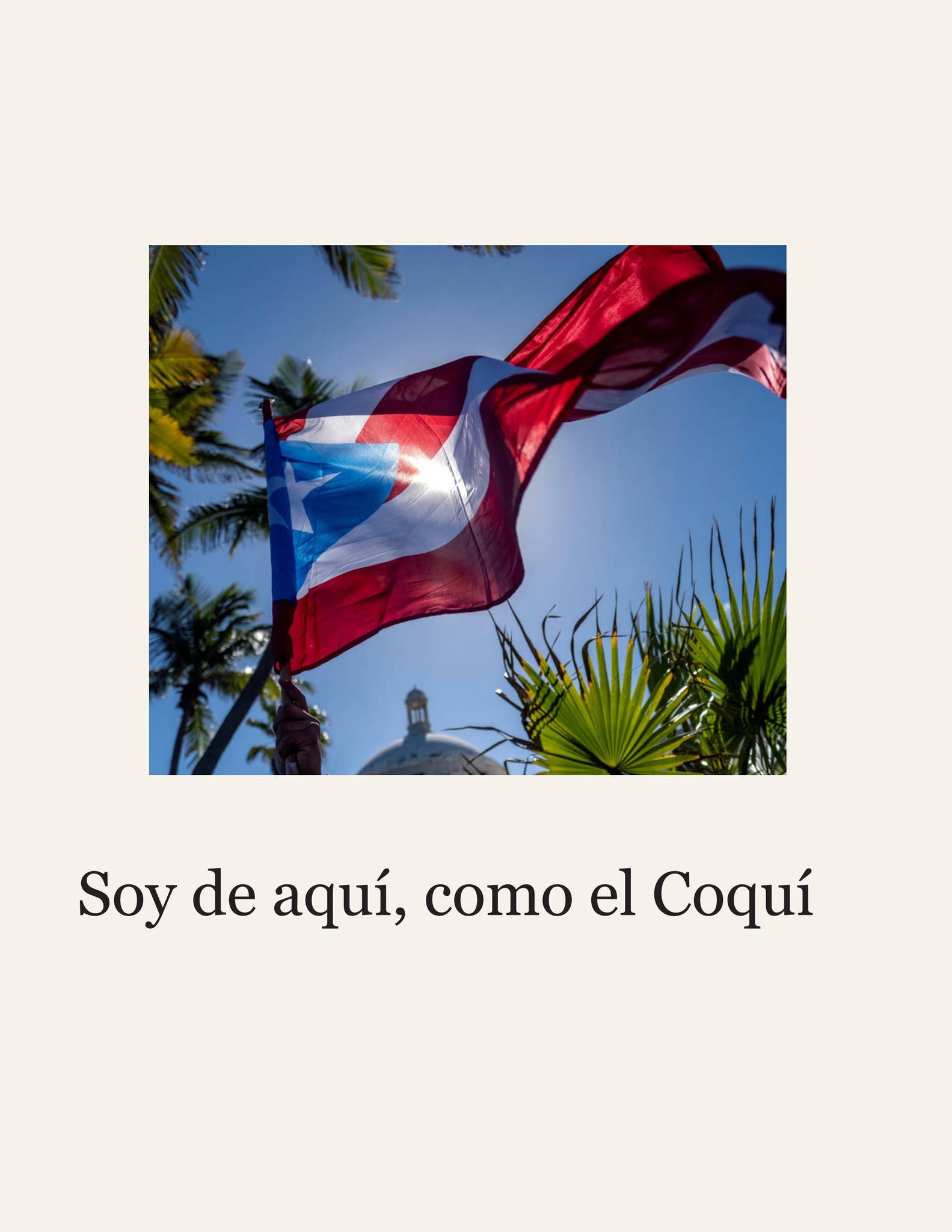 Coquí Book by Aaliyah Herrera - Issuu