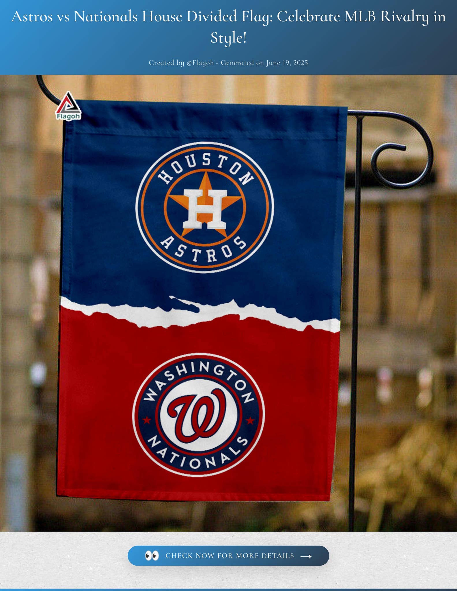 Astros vs Nationals House Divided Flag: Celebrate MLB Rivalry in Style ...