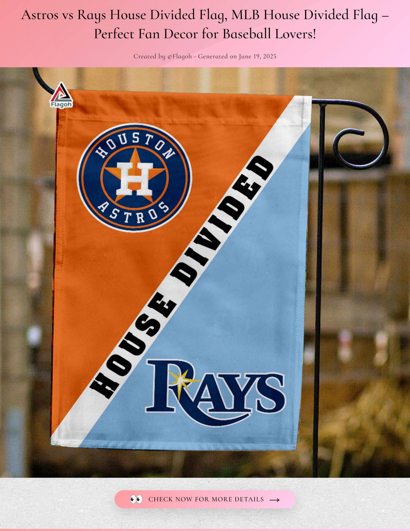 Astros vs Rays House Divided Flag, MLB House Divided Flag – Perfect Fan ...
