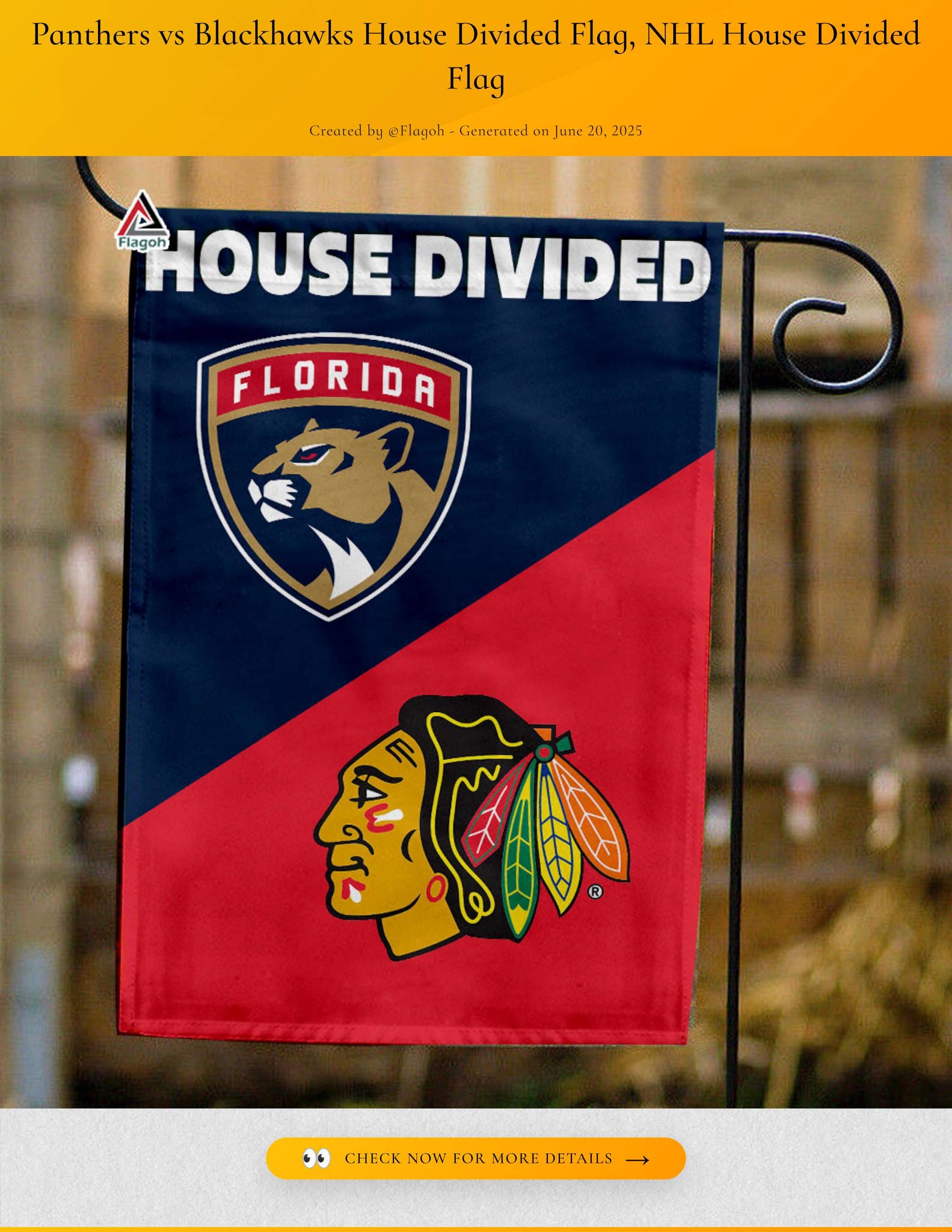 Panthers vs Blackhawks House Divided Flag | Ultimate NHL House Divided ...
