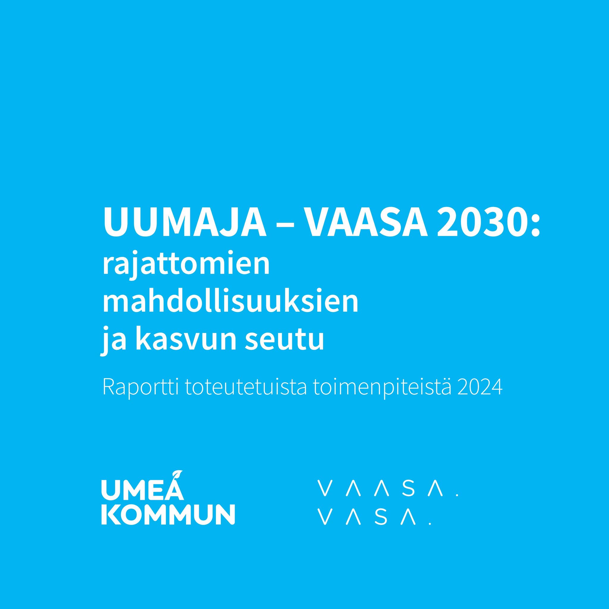 Umea_Vaasa_Raportti_toteutetuista_toimenpiteista_2024 by Vaasan ...