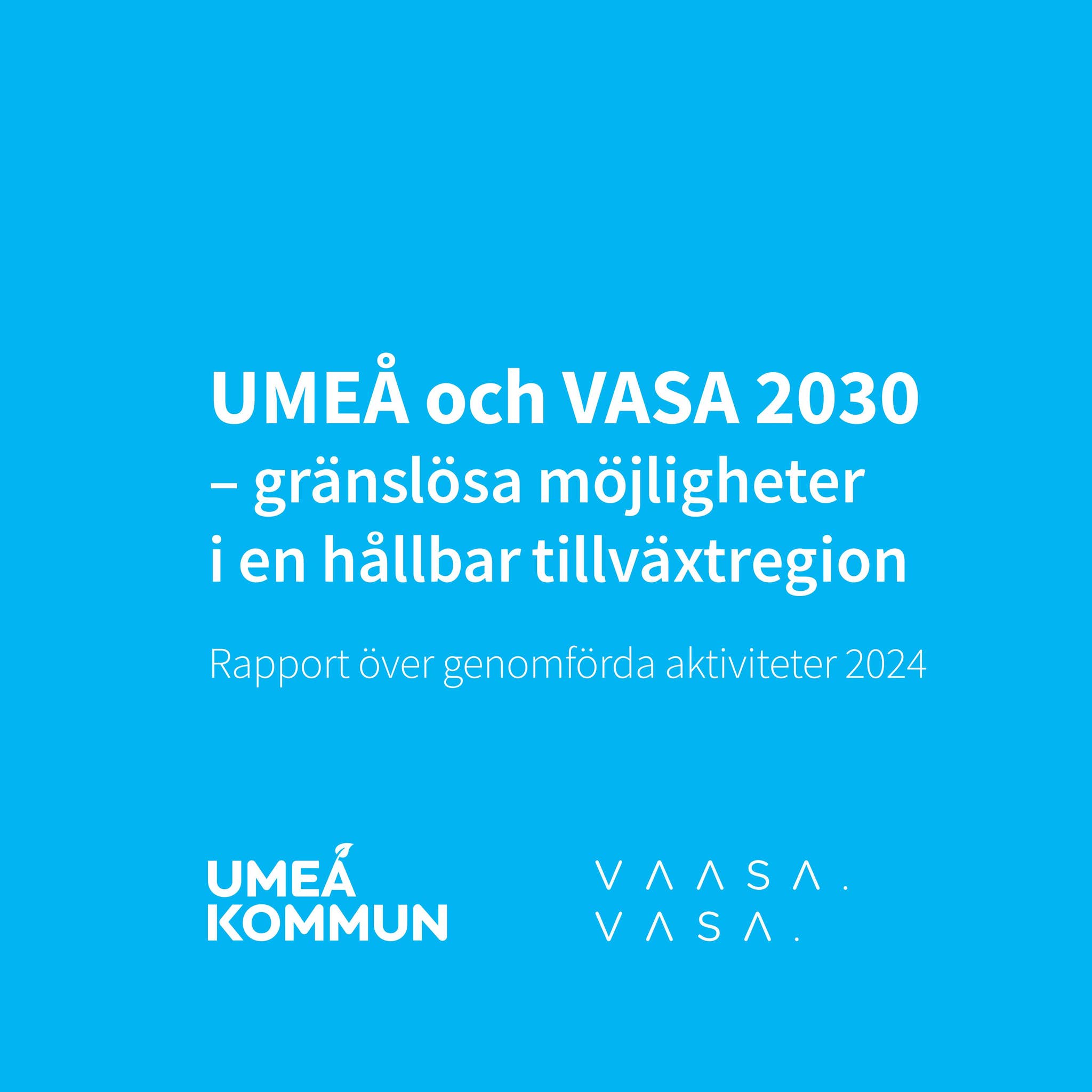 Umea_Vasa_rapport_over_genomforda_aktiviteter_2024 by Vaasan kaupunki ...