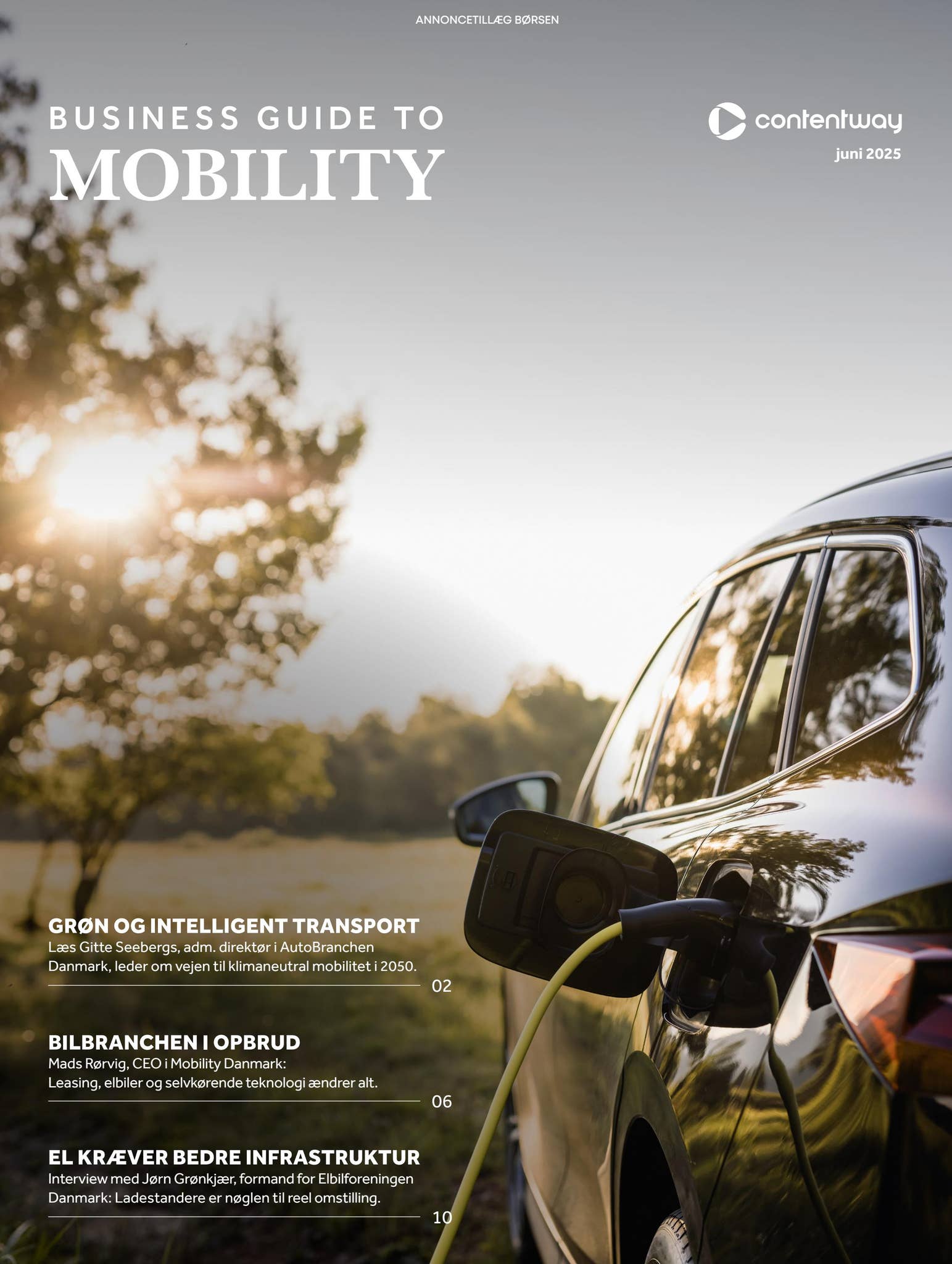 Business Guide to Mobility by Contentway - Issuu