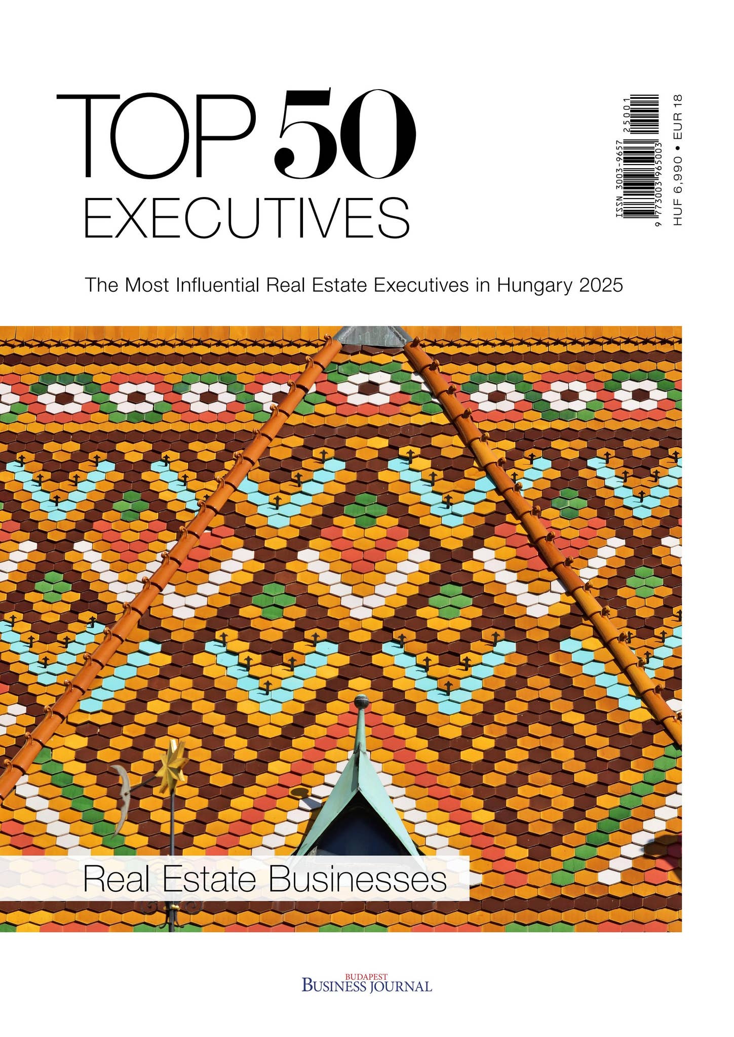 Top 50 Real Estate 2025 Sample by Business Publishing Services Kft. - Issuu